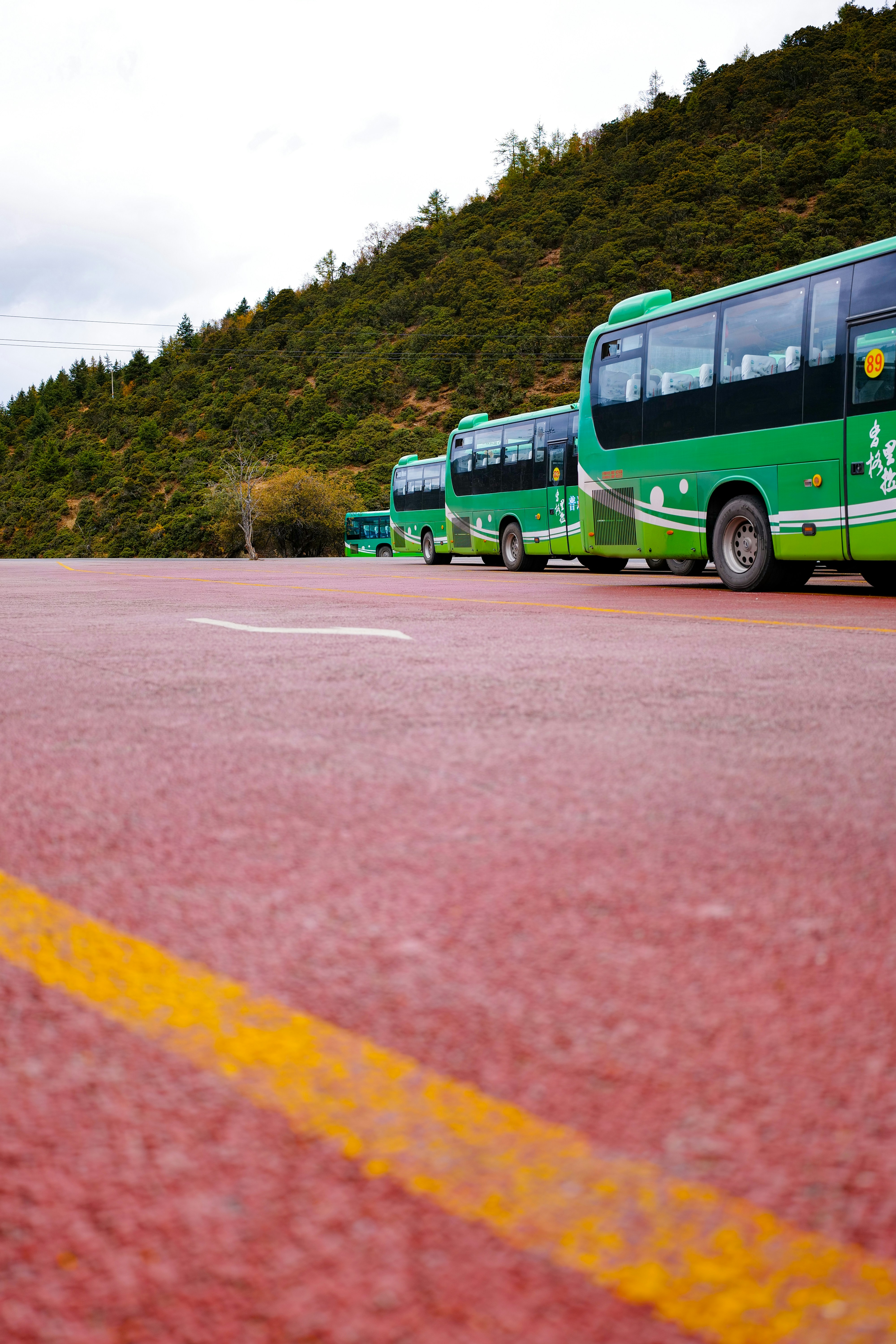 Emerald Fleet on Red Tarmac by the Forested Hill