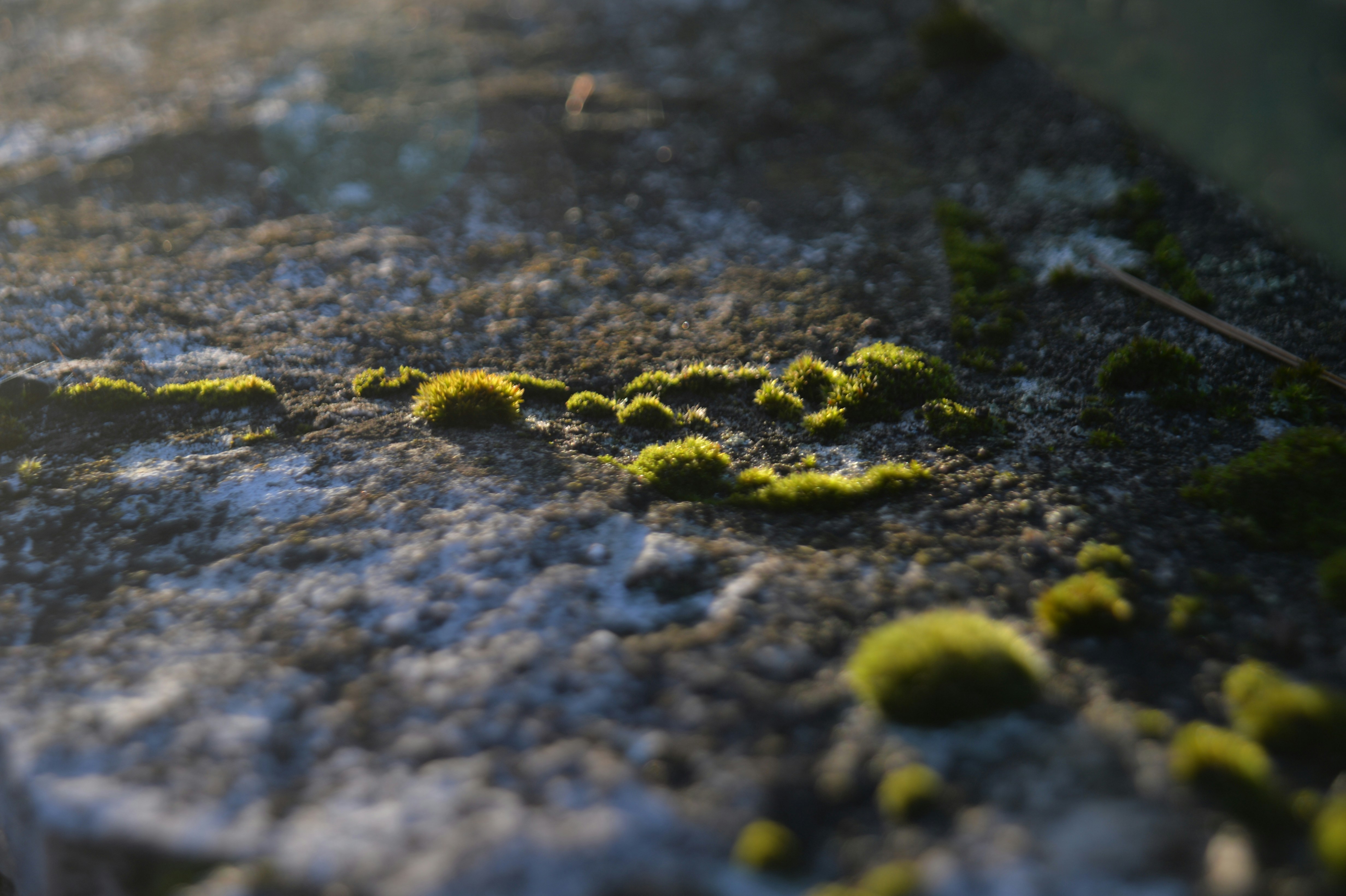 Photo by Balikó András with Nikon Df