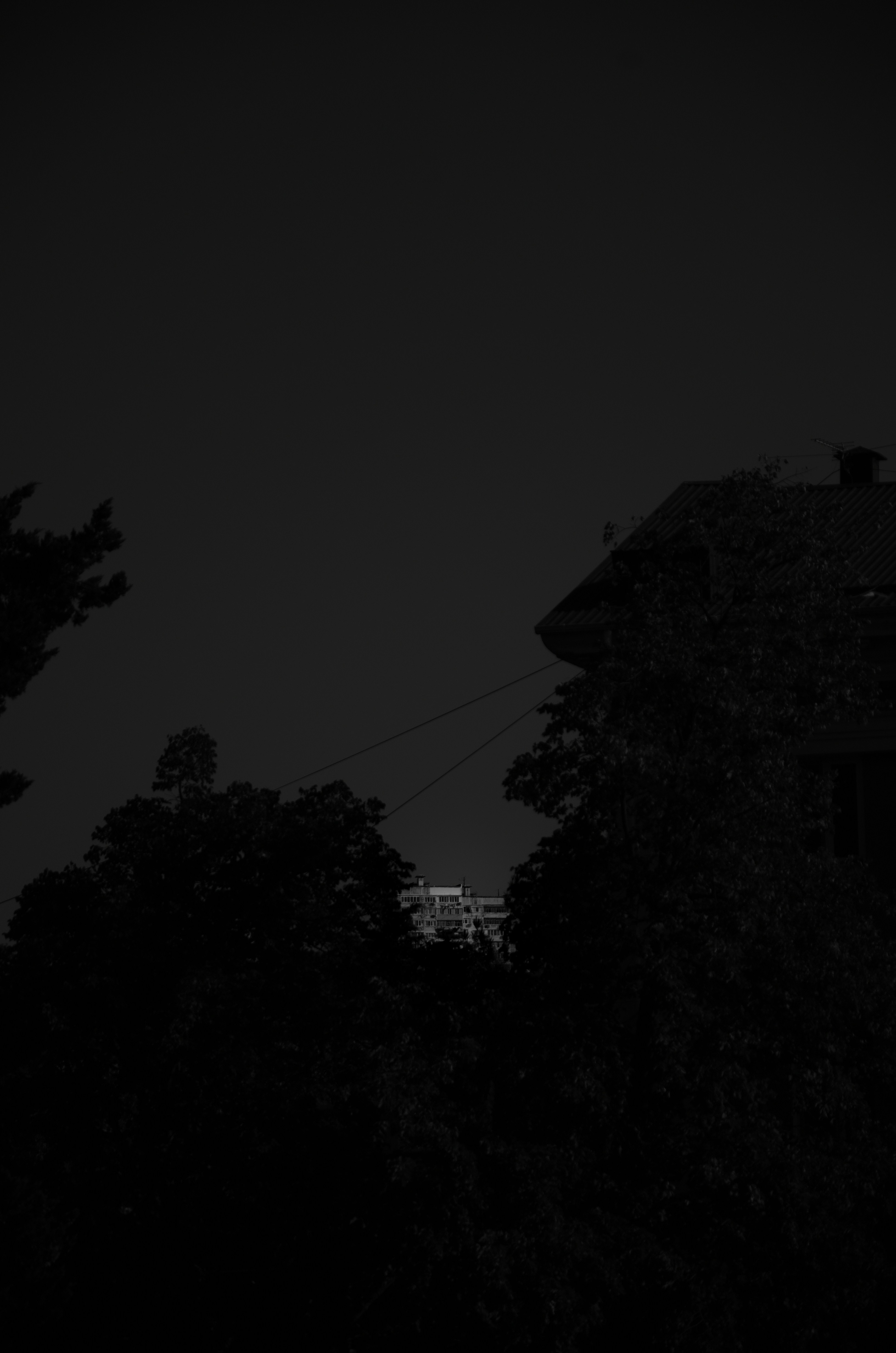Whispers of Urban Shadows