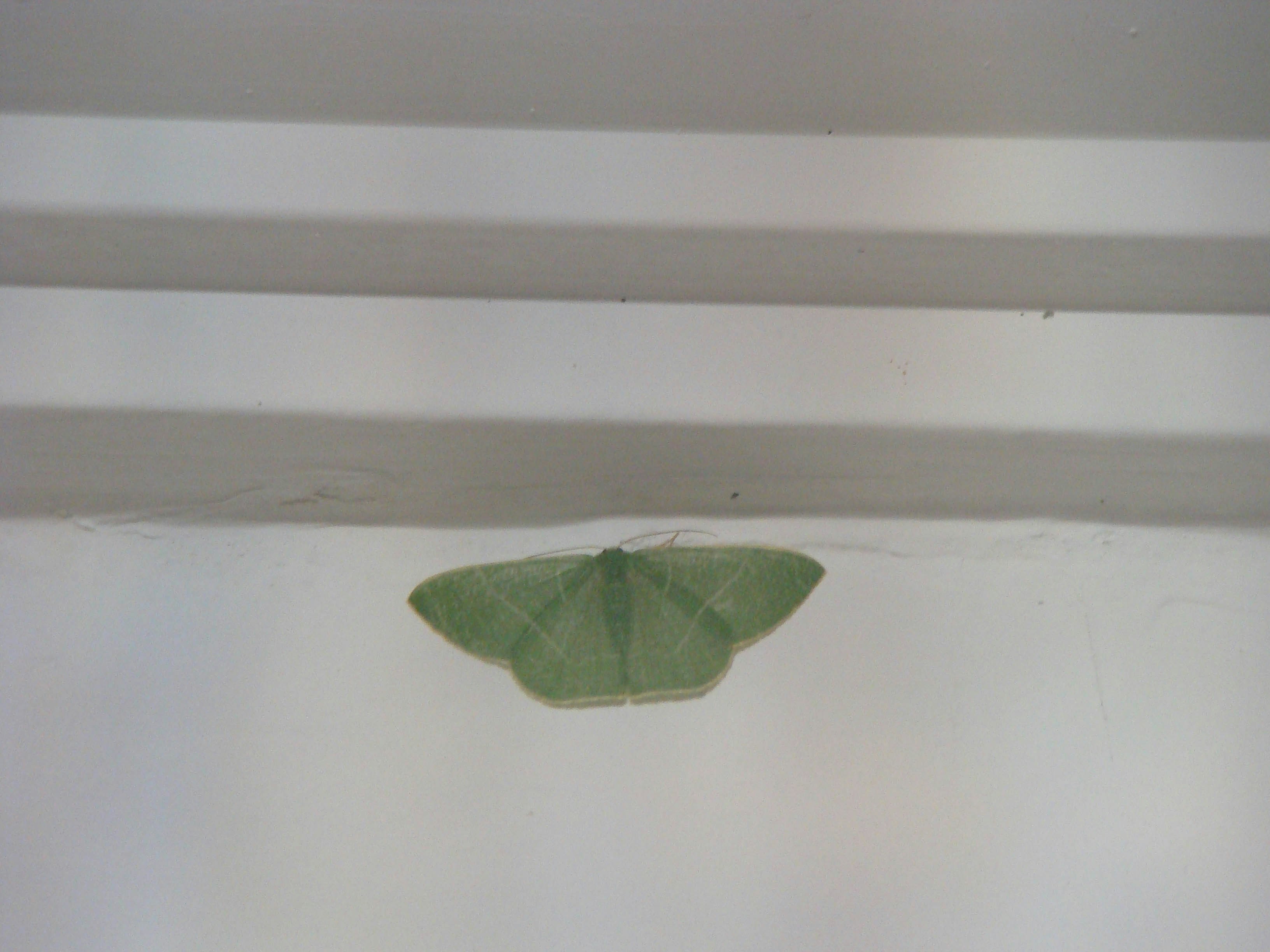 Photo by Yanping Ma with Sony Cyber-shot H9