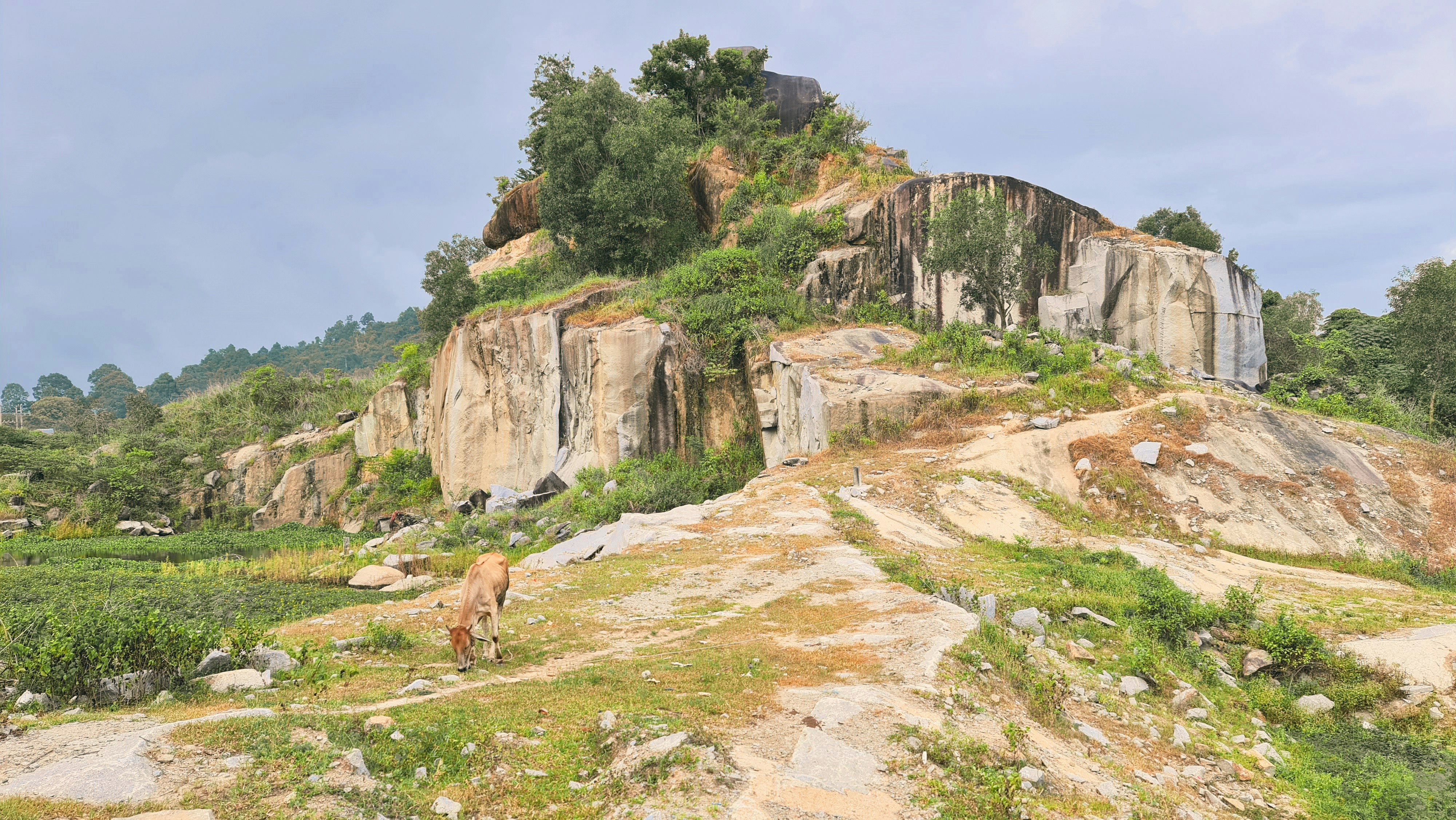 Stone Ridge Crown: A Dirt Path to the Clifftop Summit