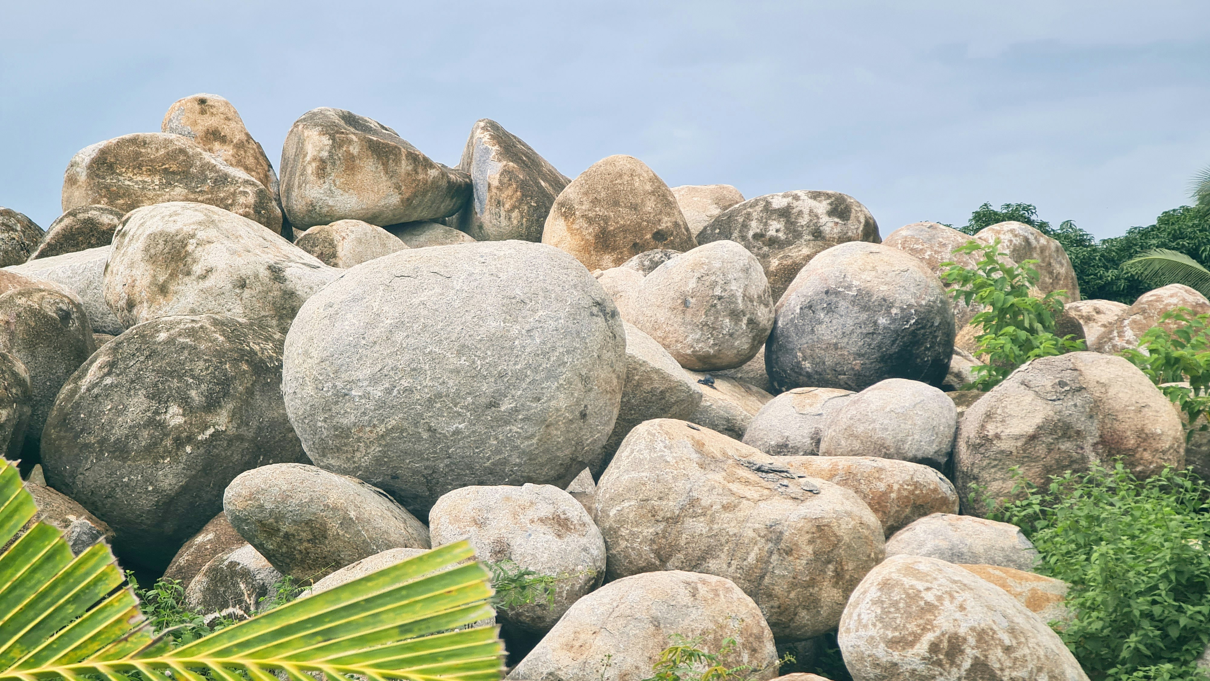 A cluster of large, weathered boulders surrounded by lush greenery, showcasing the beauty of natural formations.