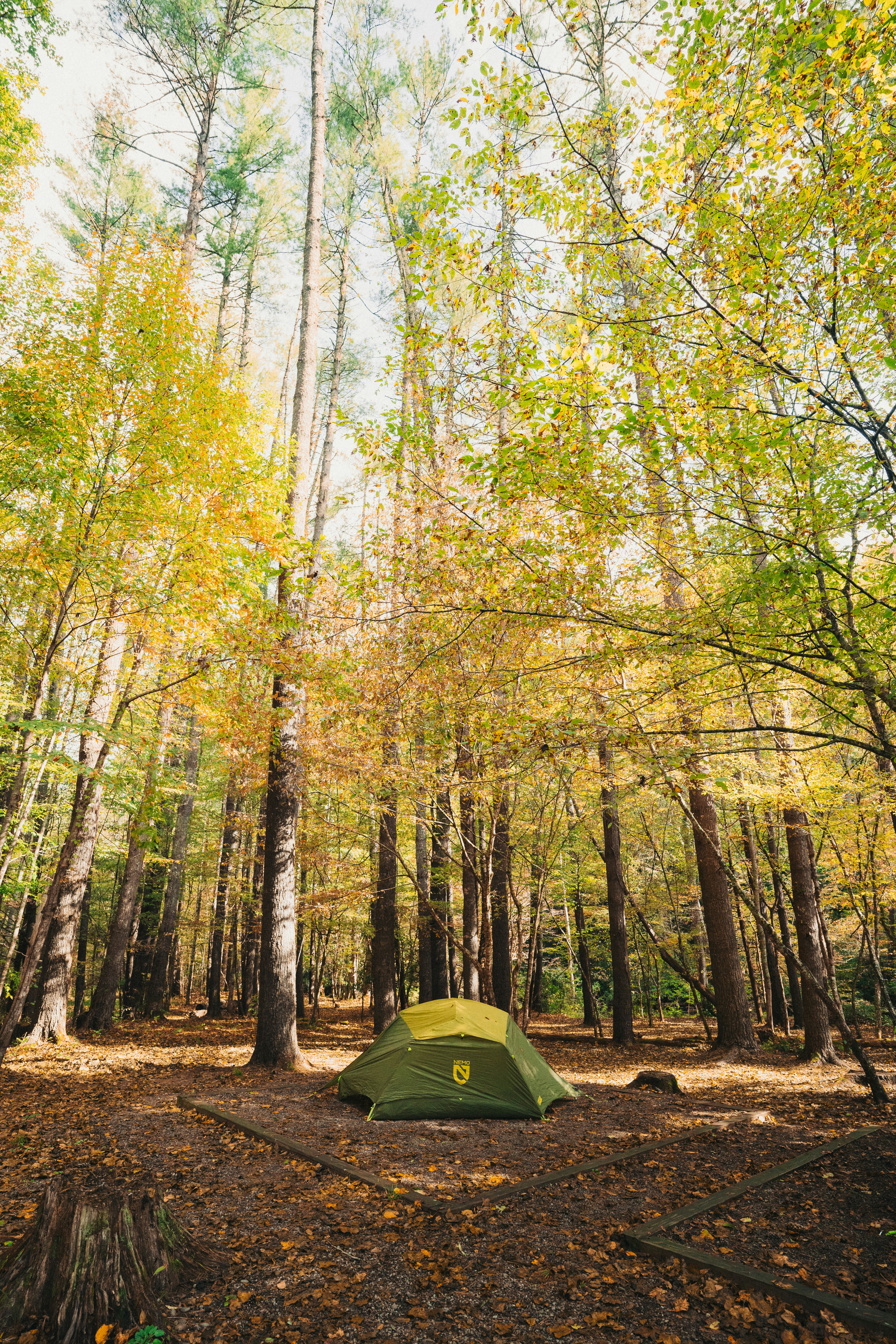 green Nemo Hornet backpacking tent underneath a canopy of fall foliage in the Great Smoky Mountains National Park.