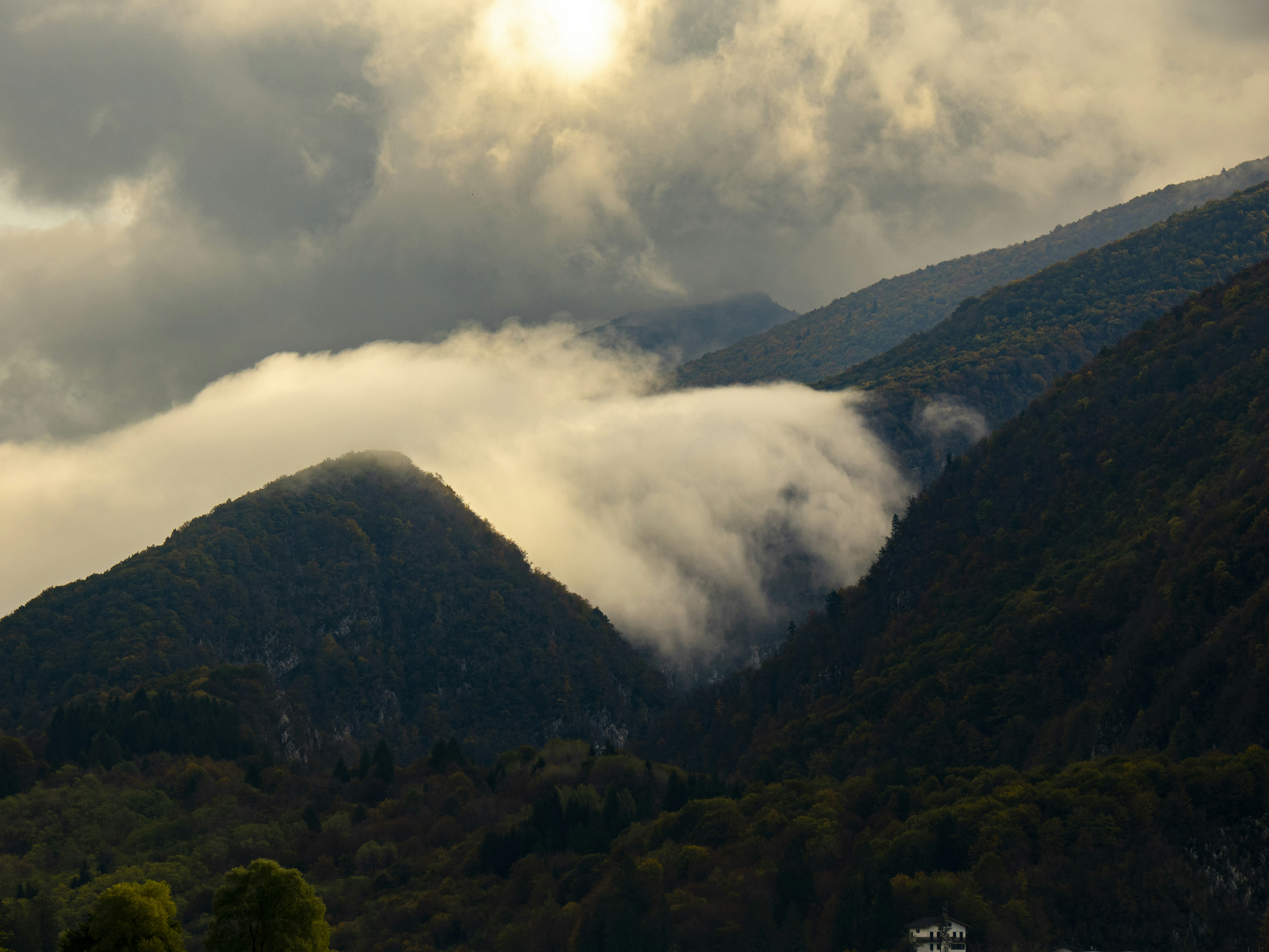 Photo by Diego Romeo with OM System OM-1