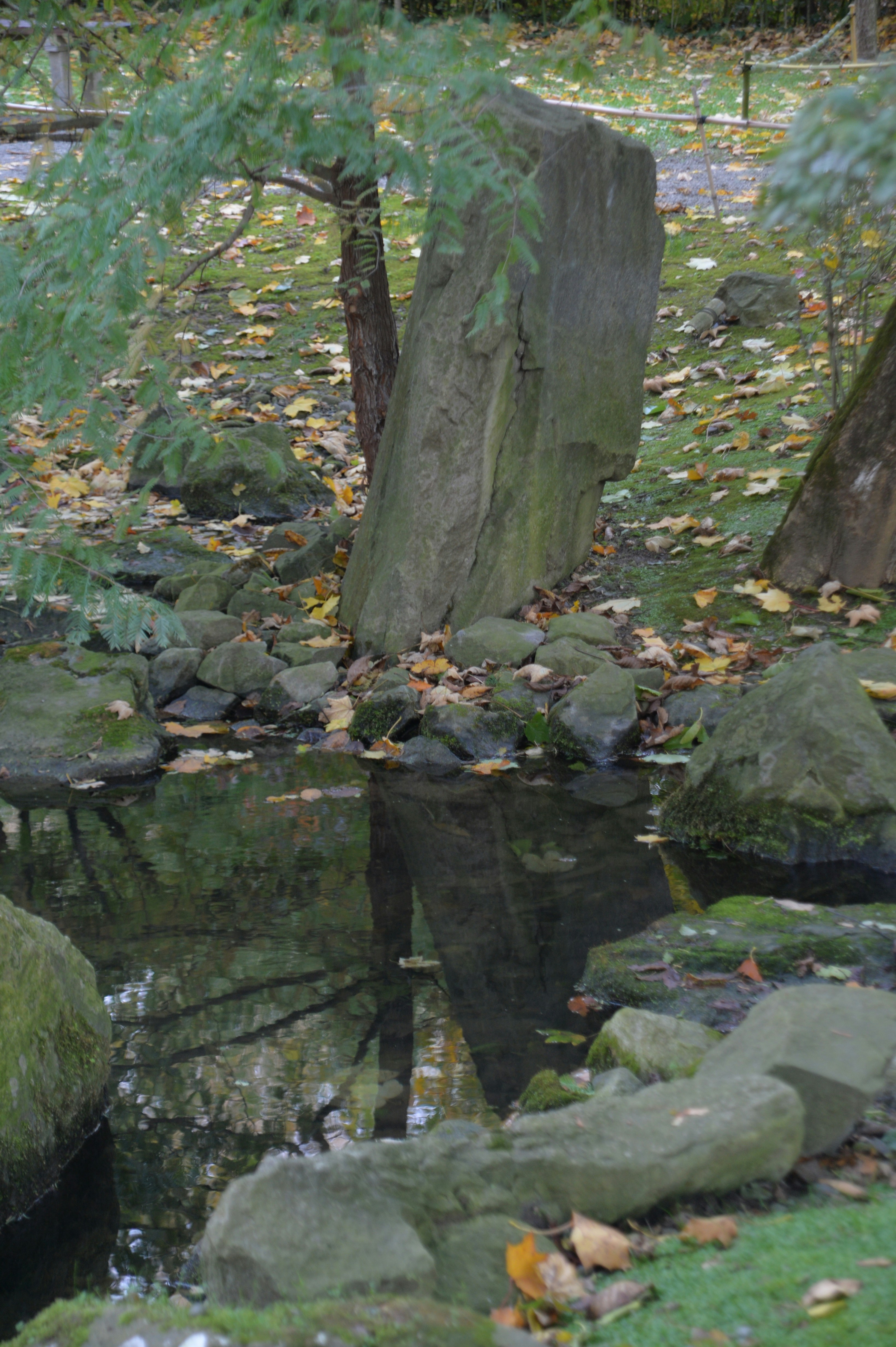 Sentinel Rock Over a Quiet Autumn Pool