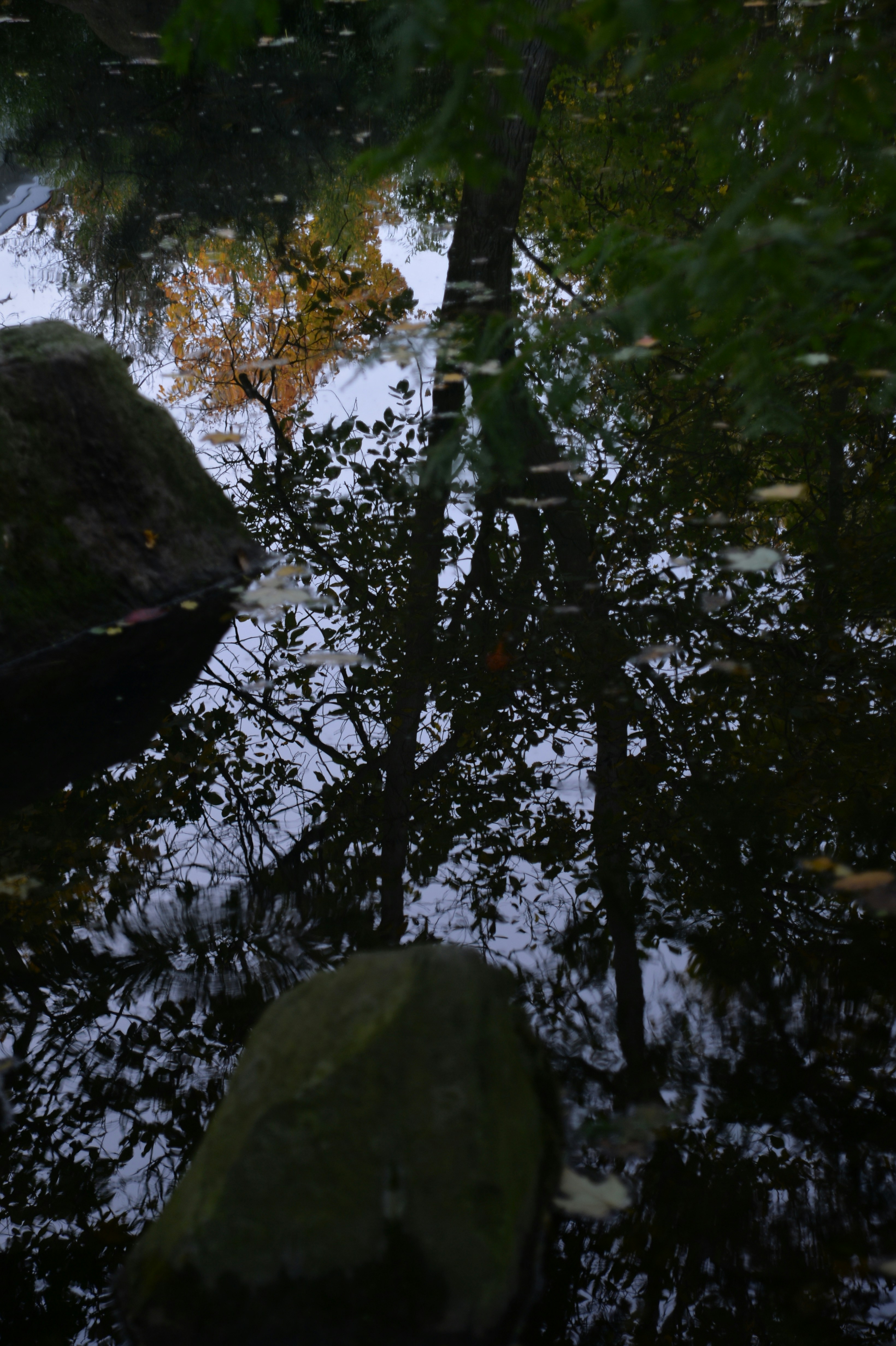 Photo by Balikó András with Nikon Df