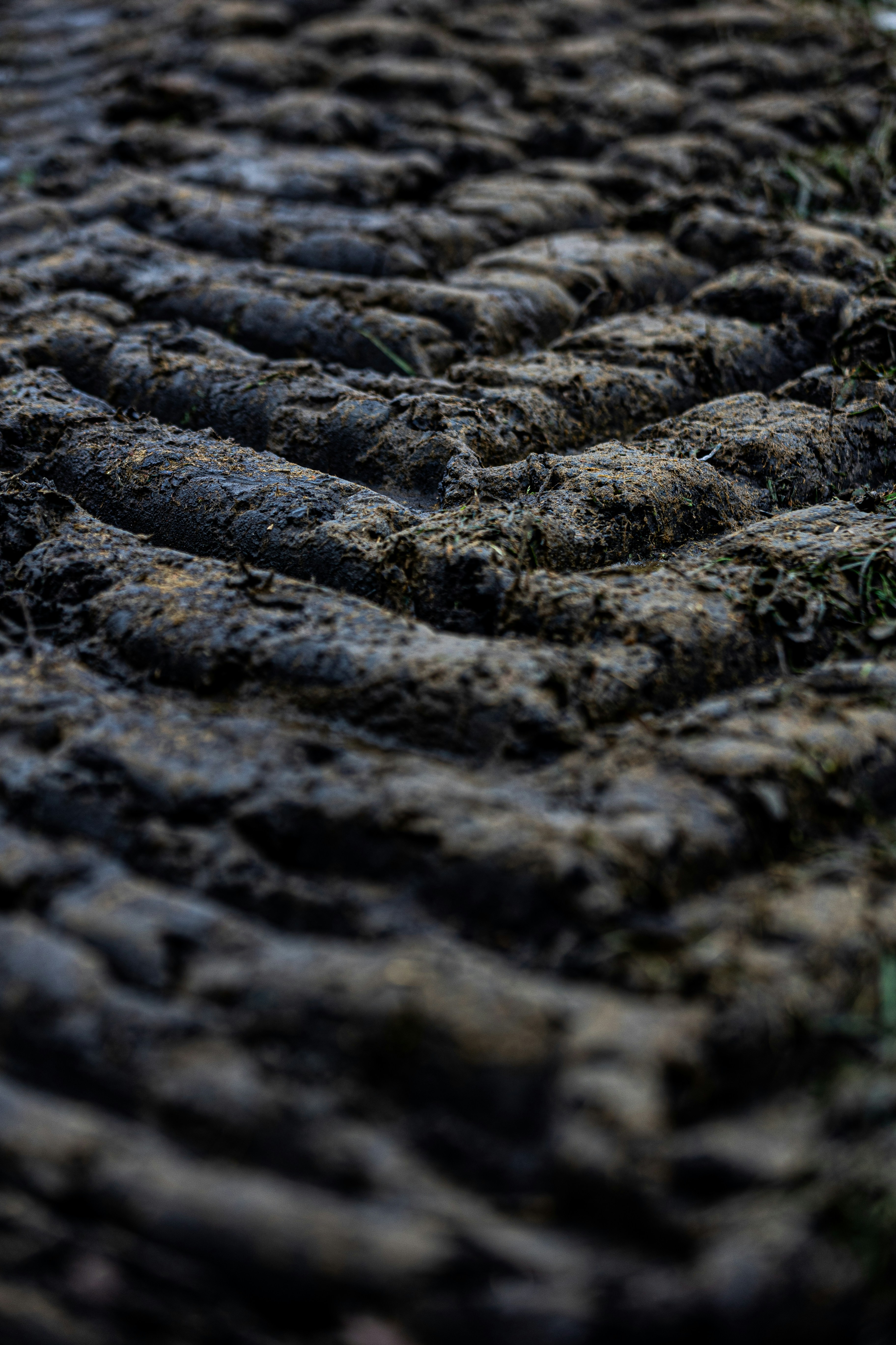 Textured Earth: The Story Beneath Our Feet