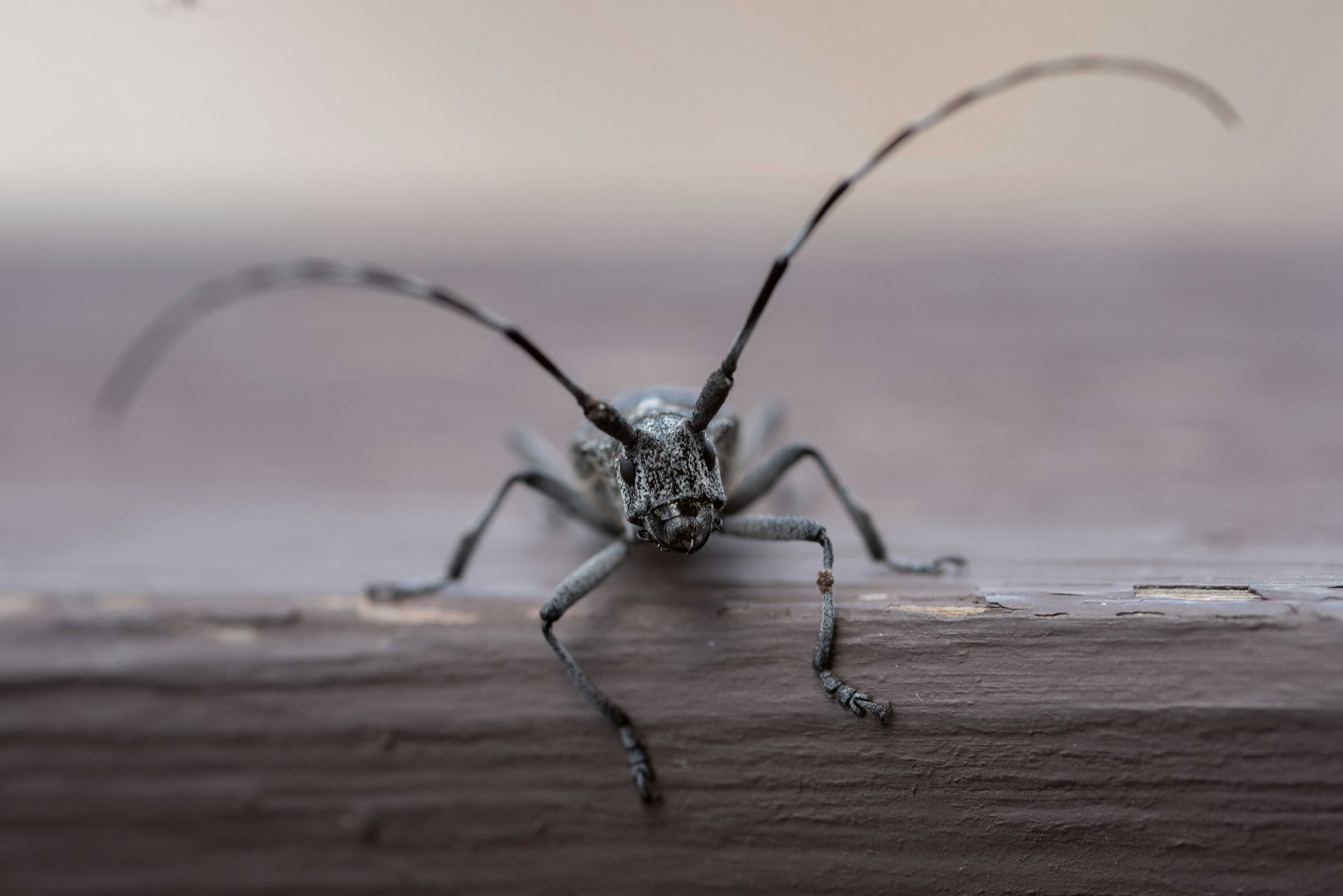 Photo by Caitlin Erwin with Nikon D750