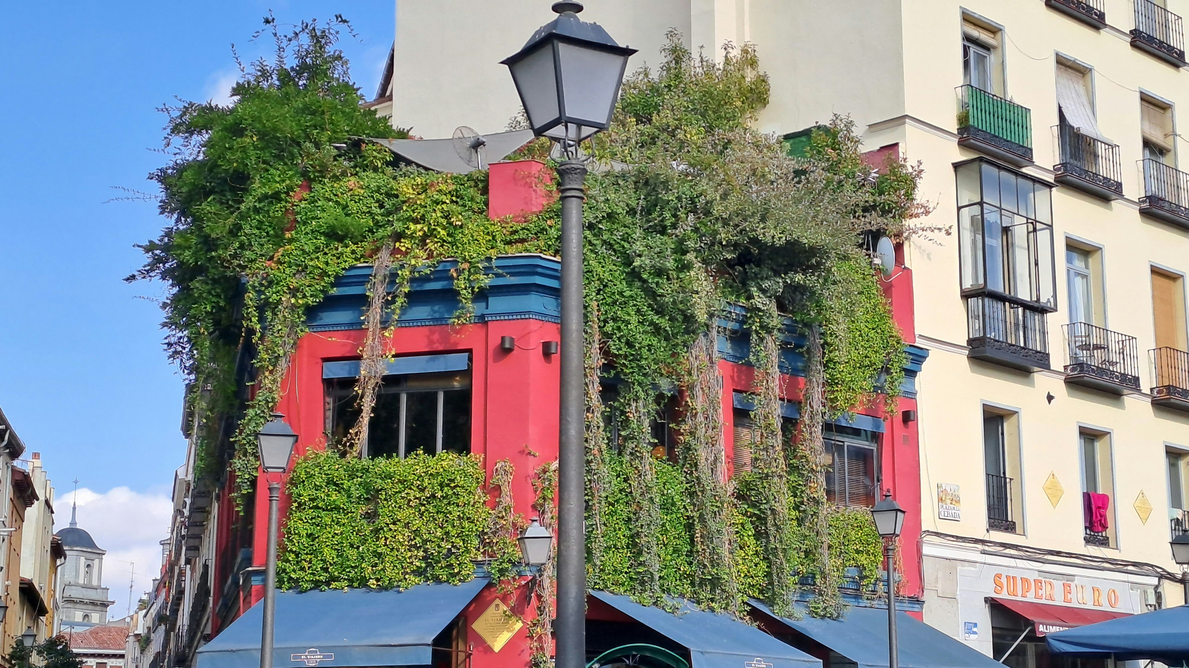 Red building facade adorned with lush green vines in a vibrant urban setting.