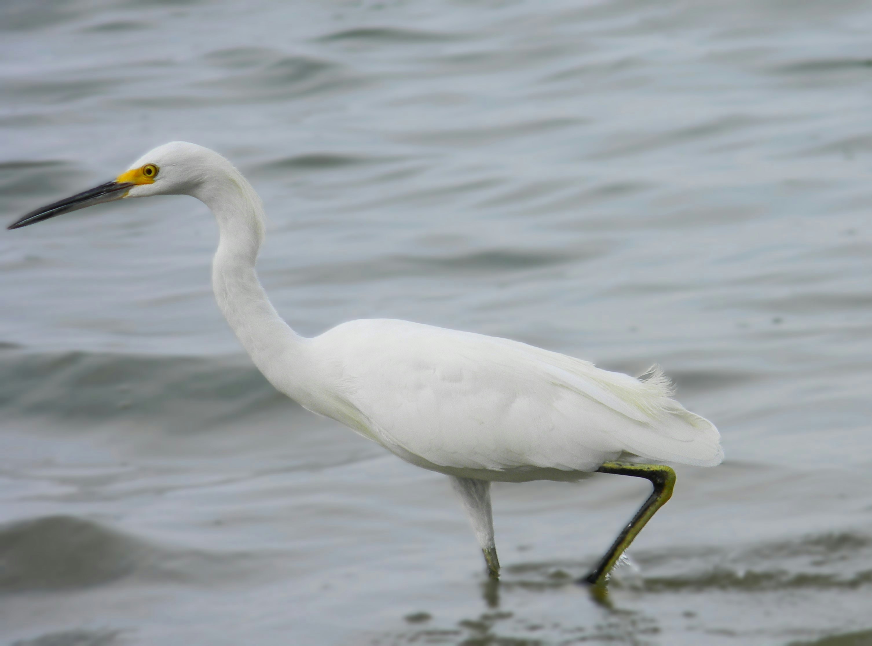 laci sims (@laci85) | Unsplash Photo Community