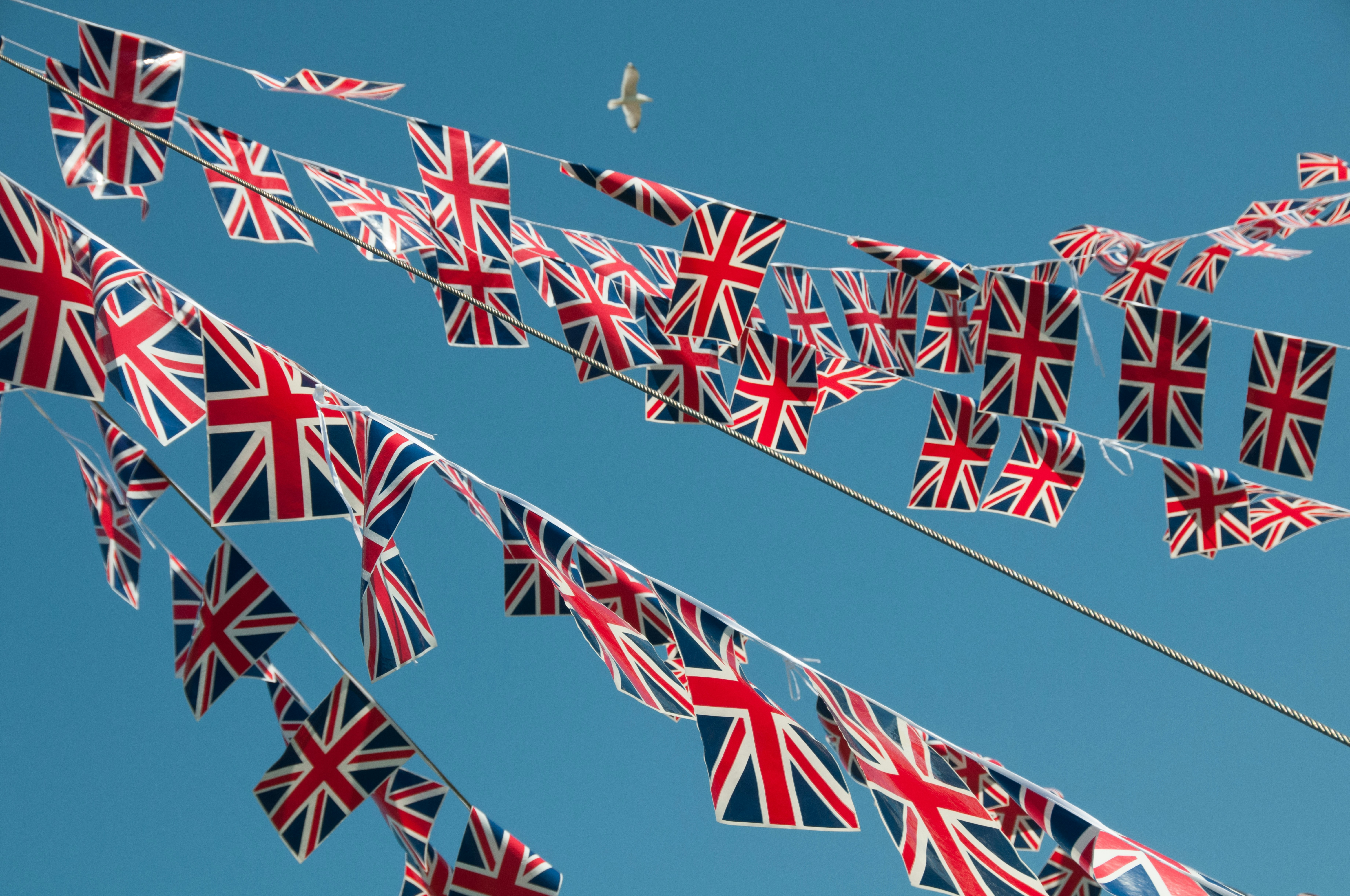 A bunch of flags that are hanging in the air photo – Free Flag Image on ...