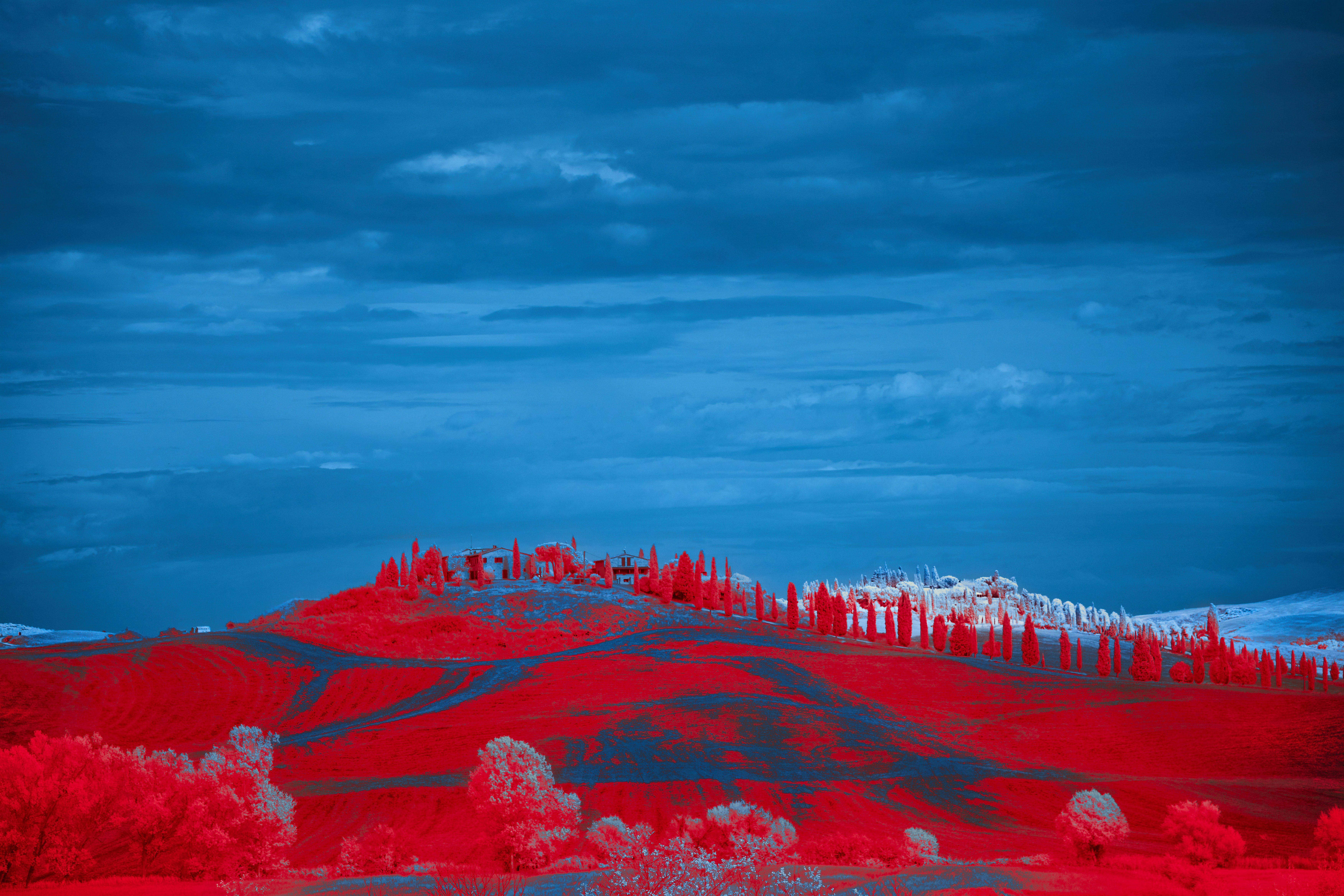 A red and blue landscape with trees on a hill photo – Free Blue Image ...