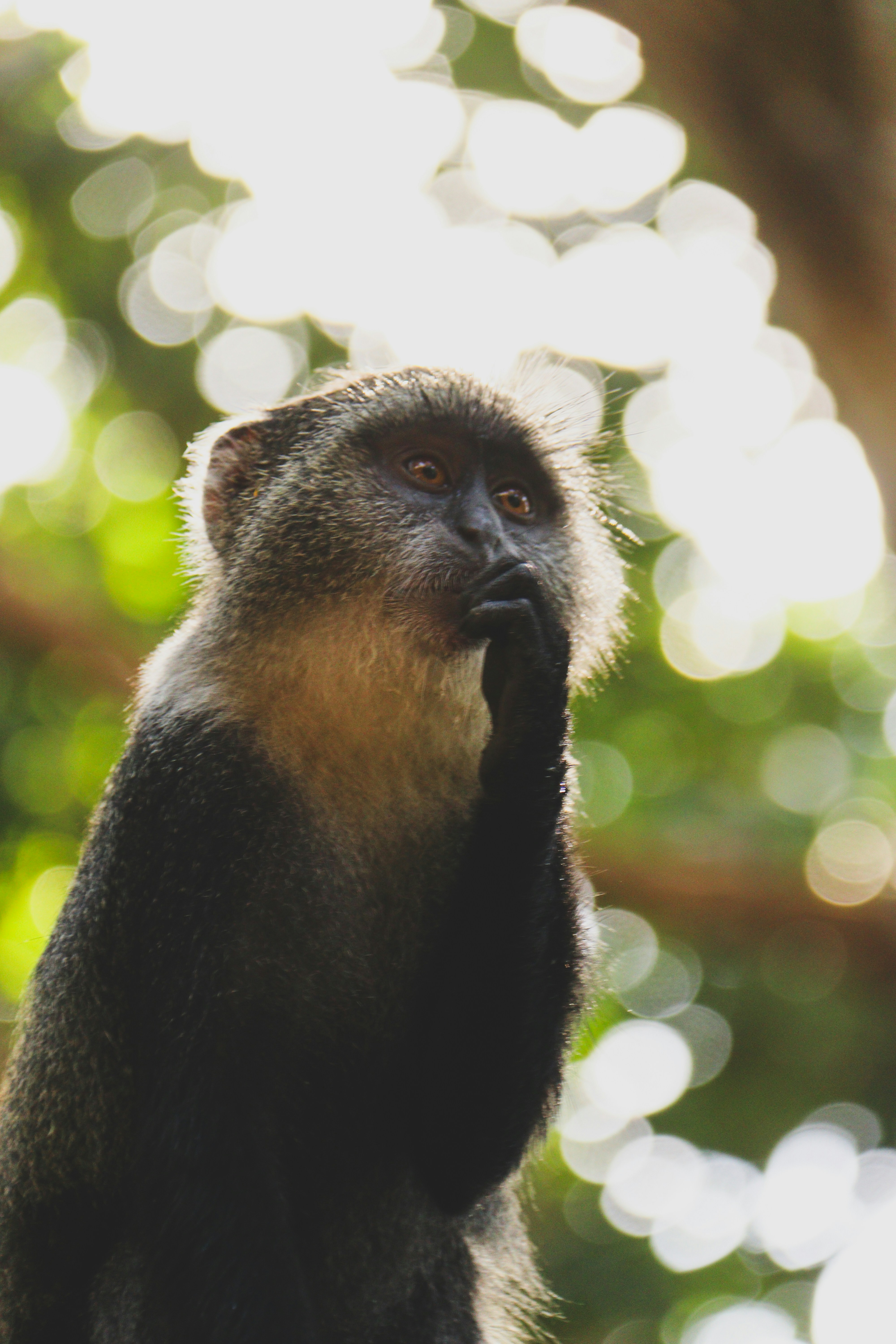 Photo by Héloïse Delbos with Canon EOS 80D