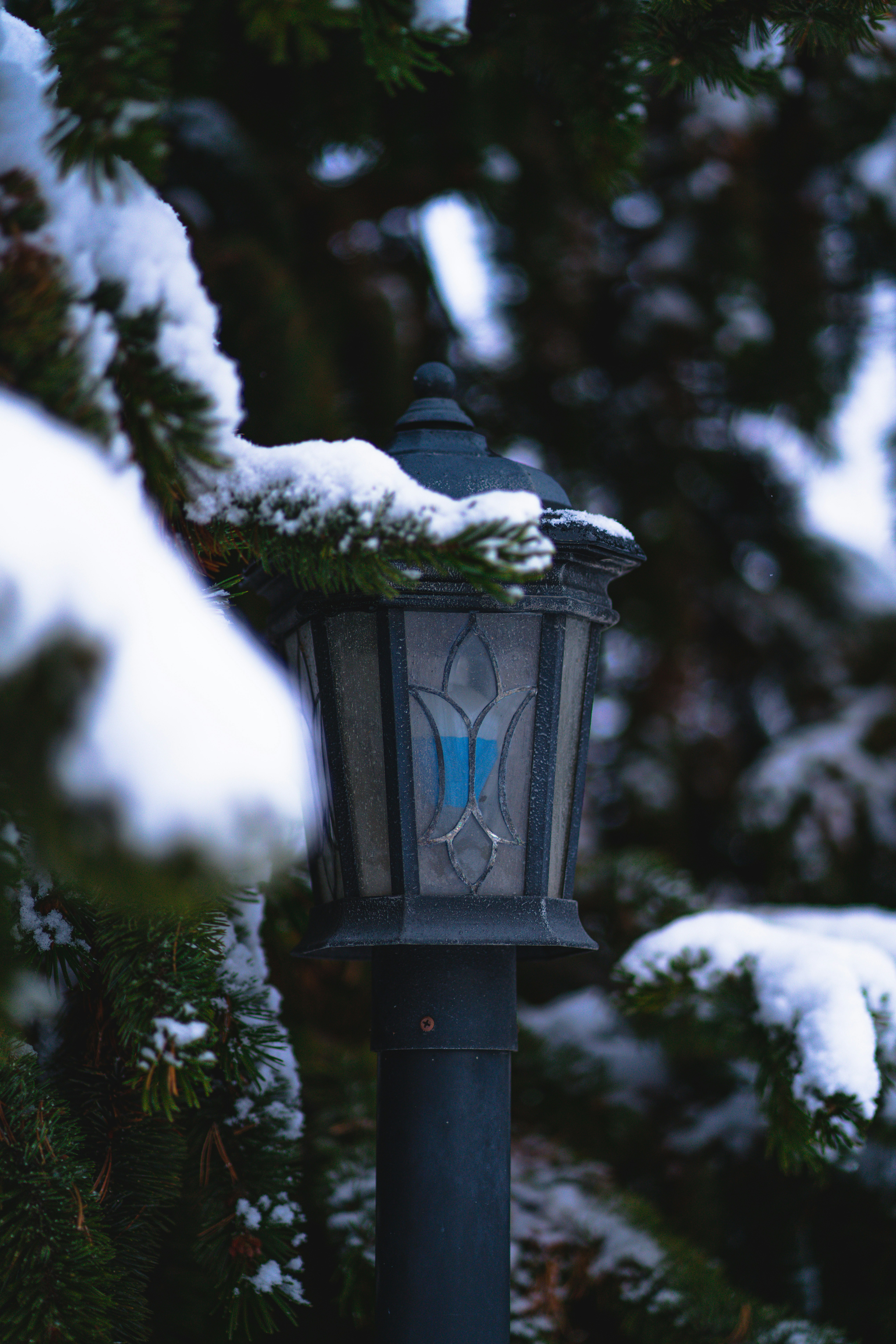 A street light covered in snow next to a tree photo – Free Lamp Image ...
