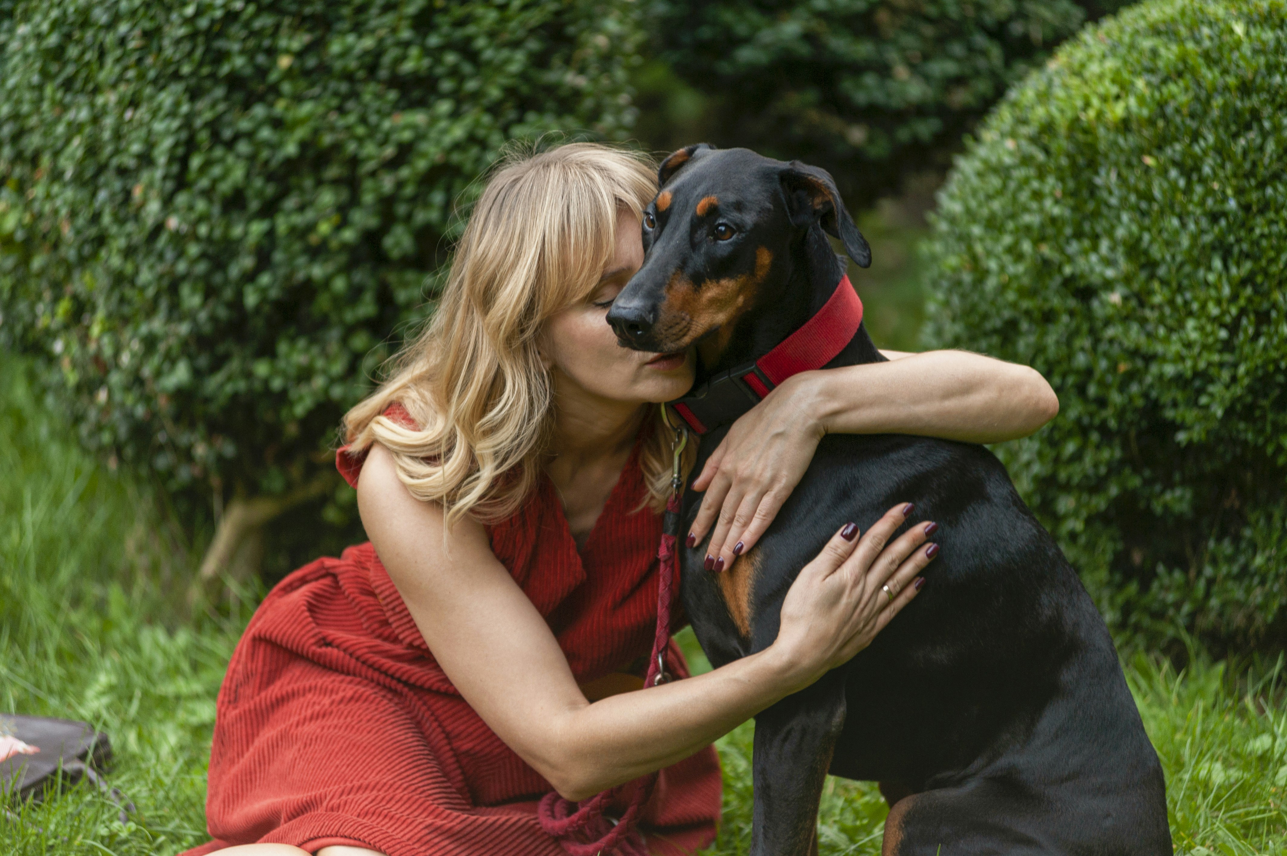 Garden Affection: Red Dress and Doberman Share a Quiet Kiss