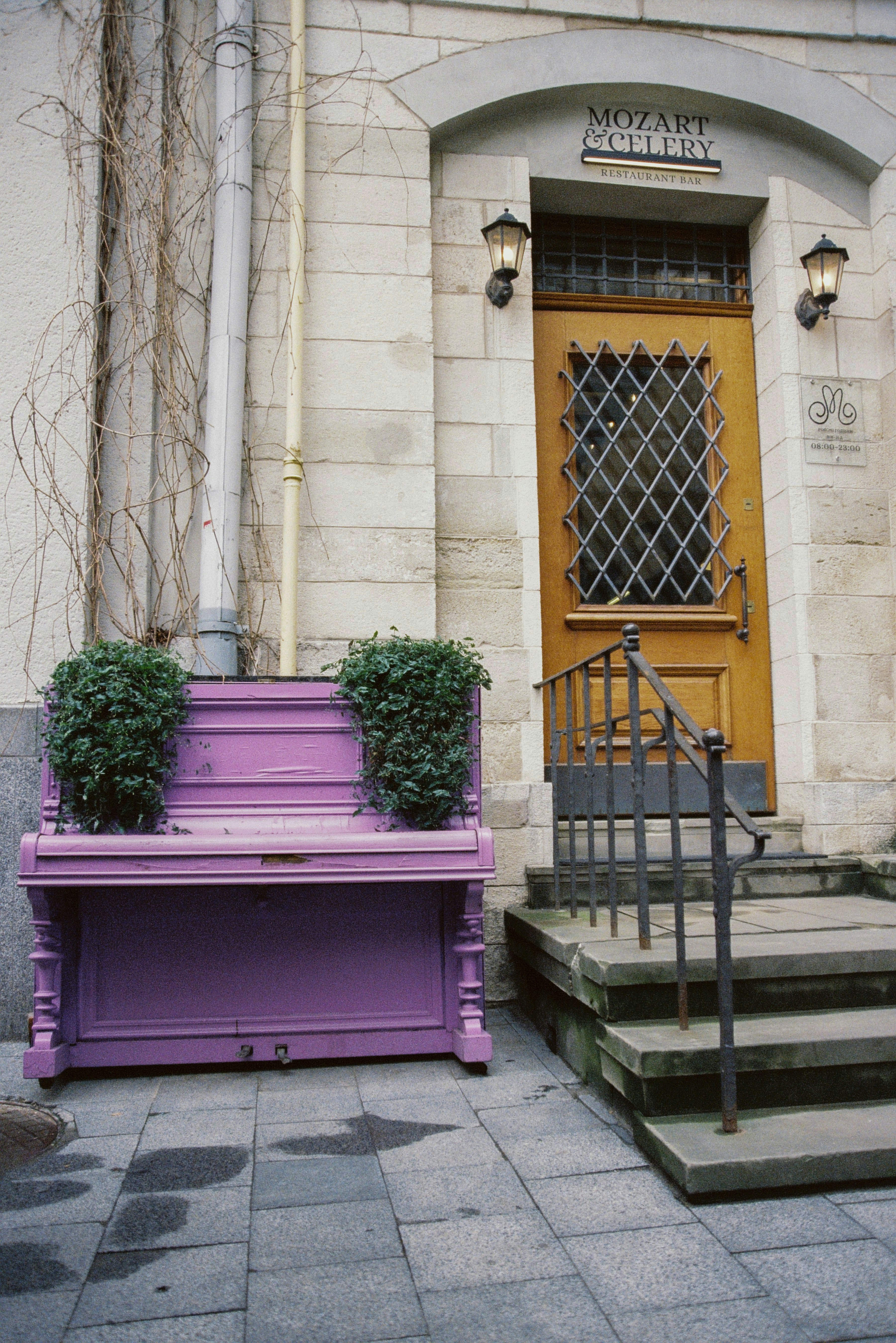 Doorway Whimsy: The Violet Piano at Mozart & Celery
