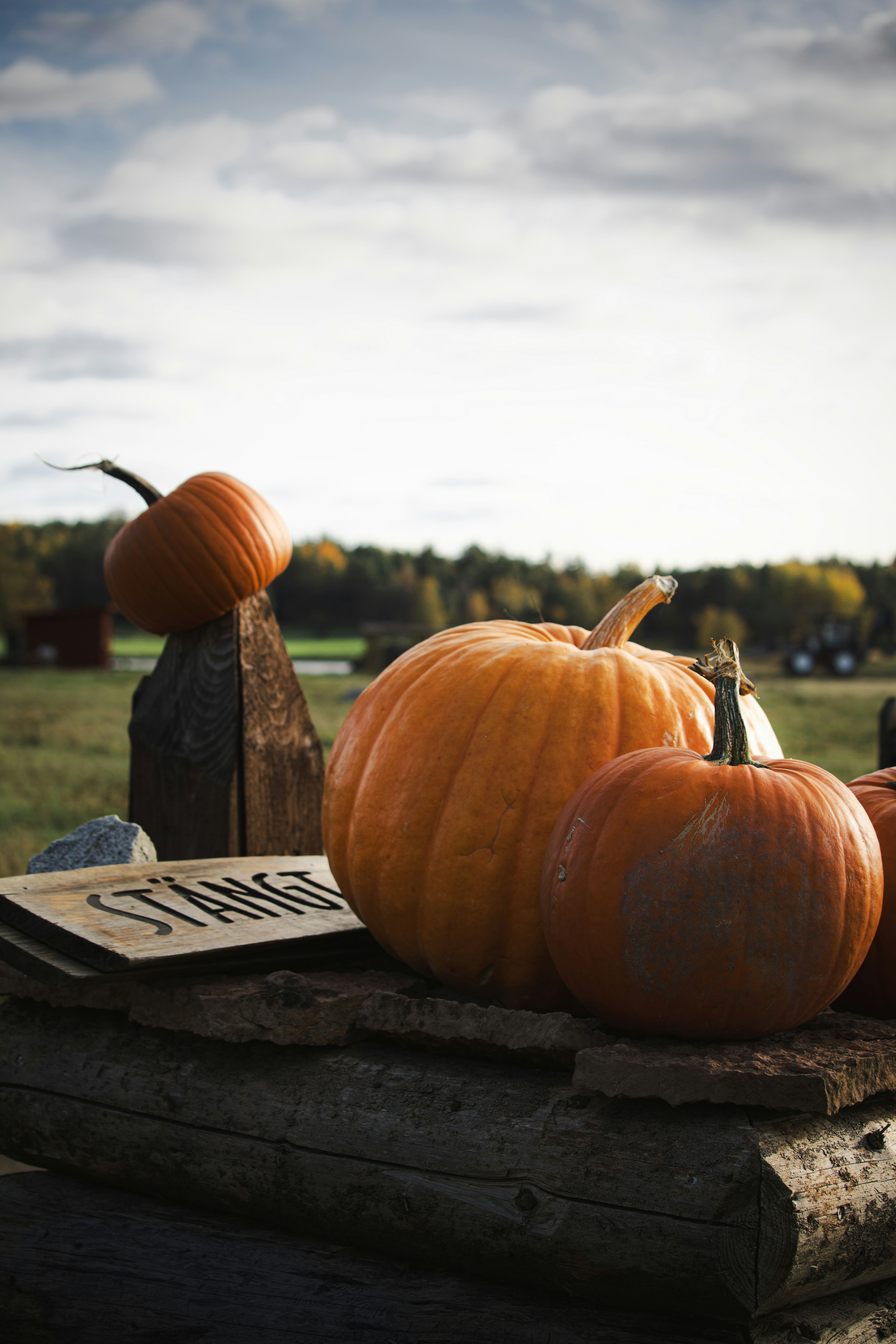 A wooden table topped with lots of pumpkins photo – Free Pumpkin Image ...