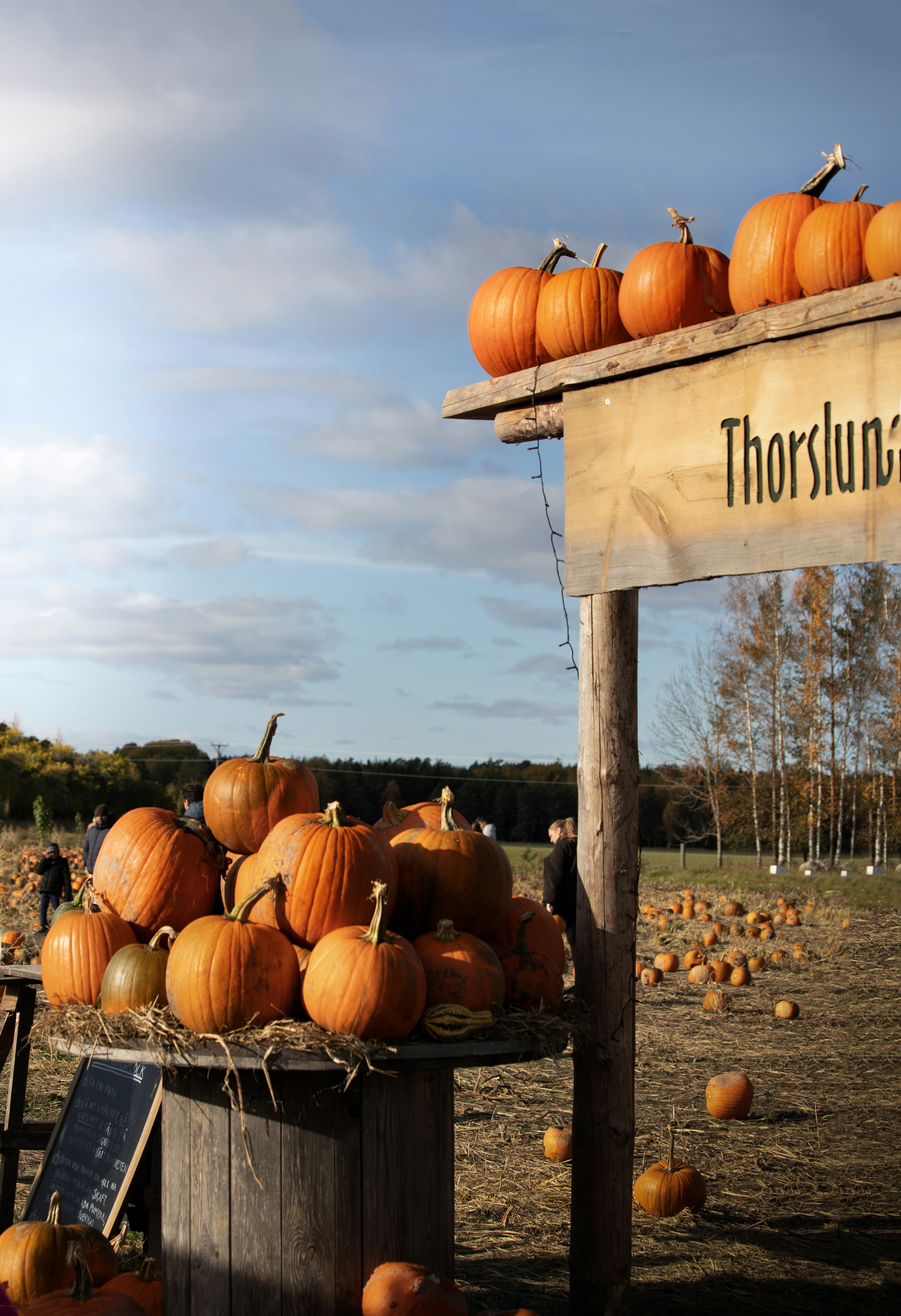 Harvest Stack Beneath Thorslund’s Weathered Sign