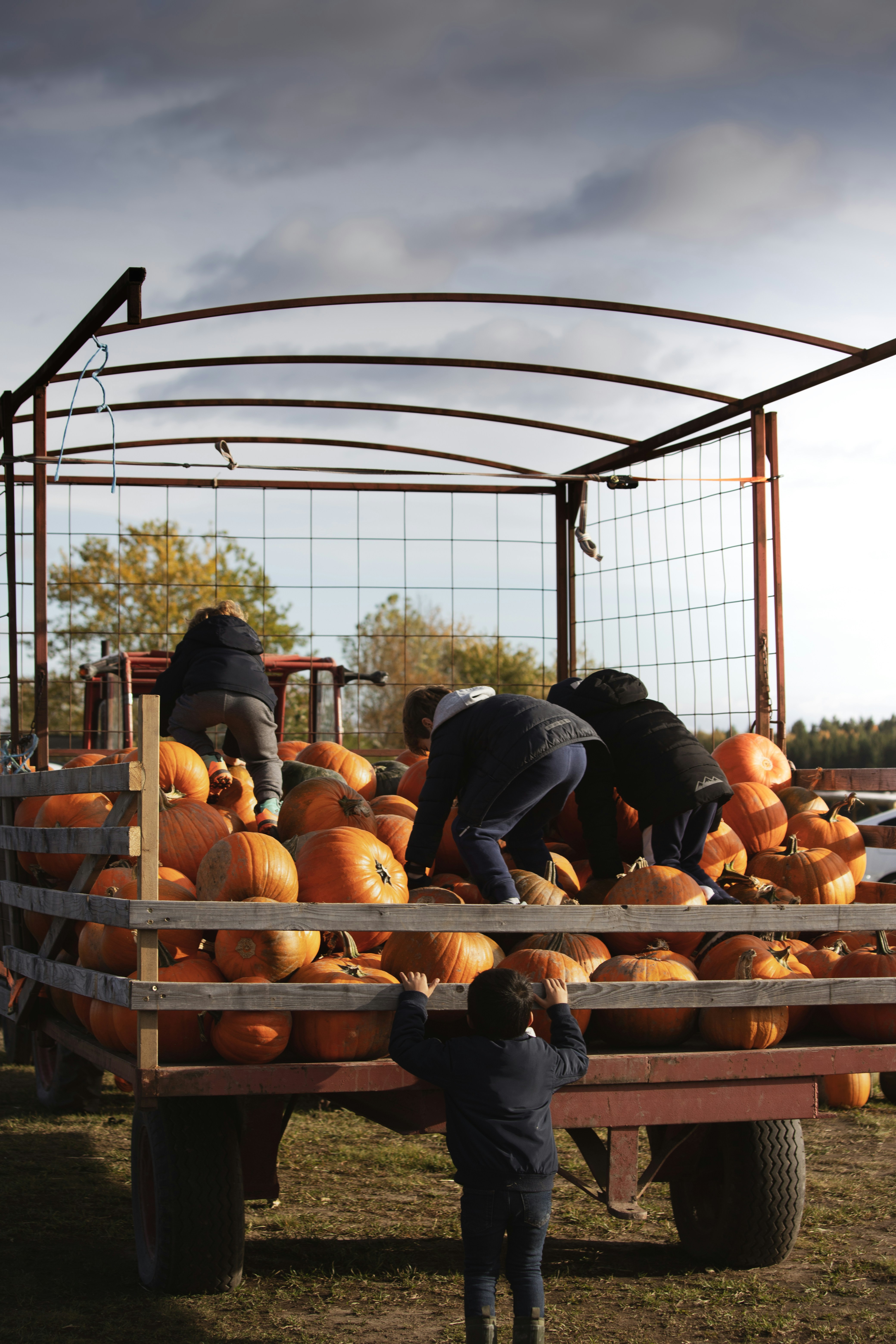 Pumpkin Wagon Climb: A Harvest of Giggles on a Farm Trailer