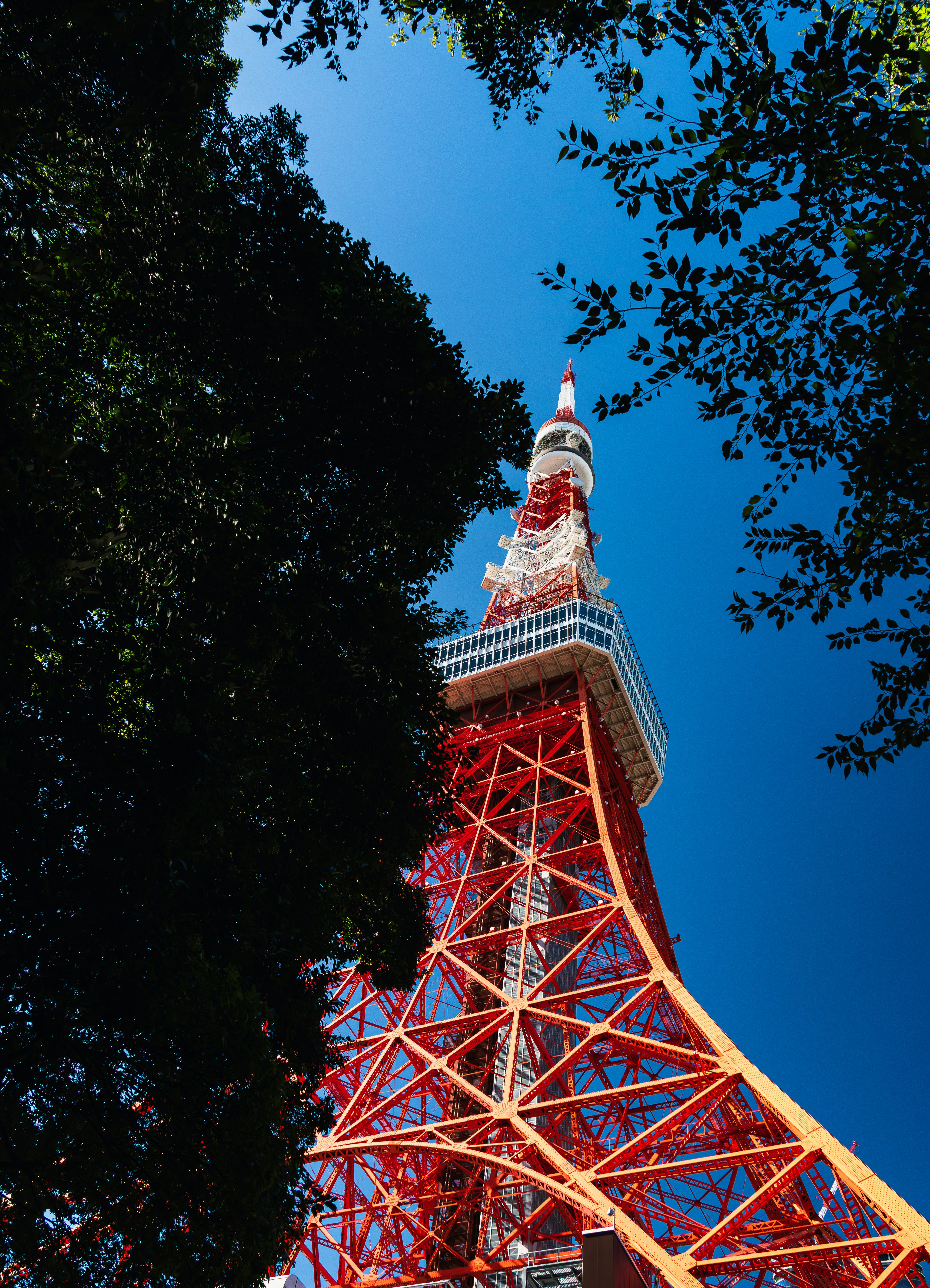 Photo by Martin Bammer with Sony Alpha 6300