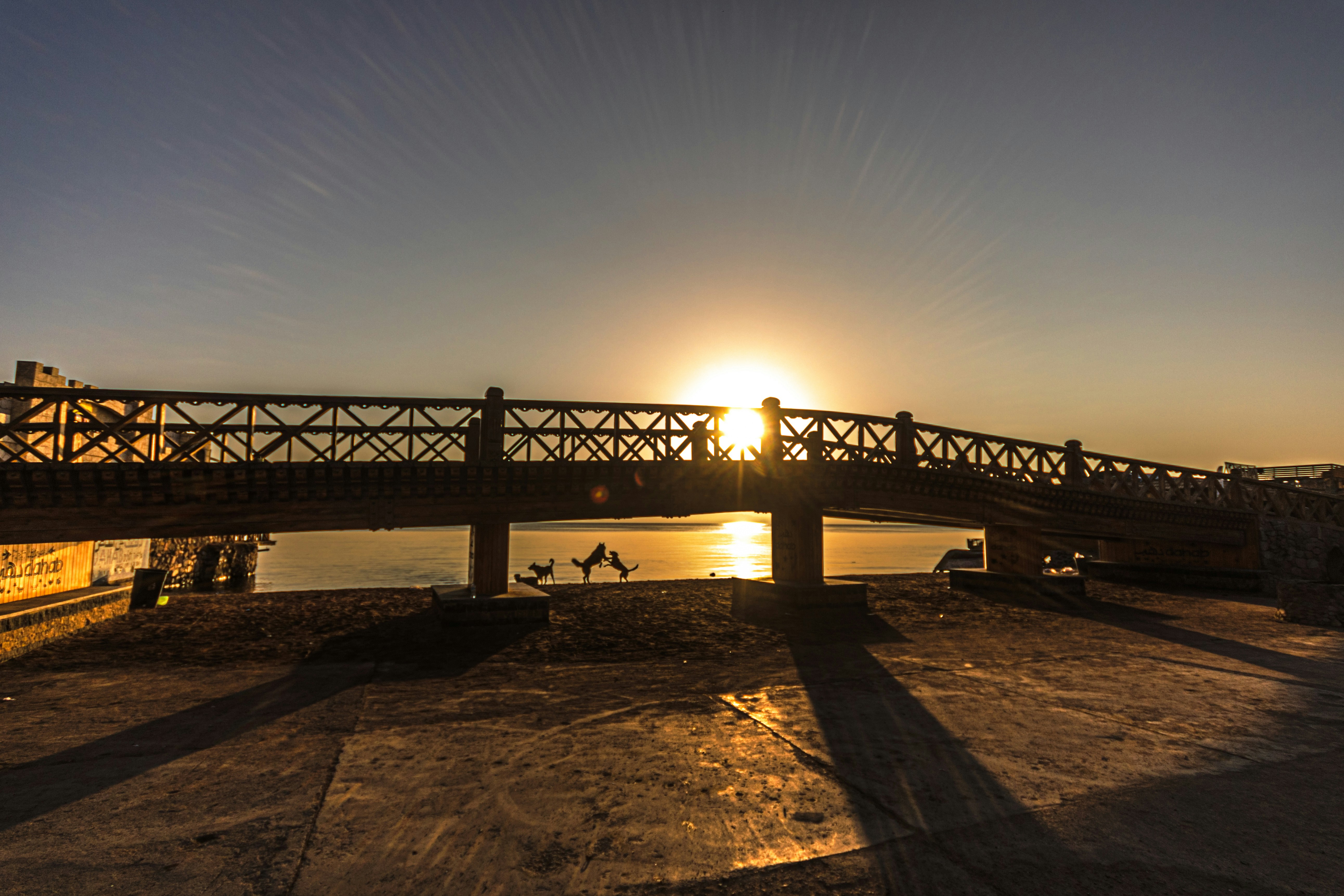 Sunlit Bridge Silhouette at Dusk