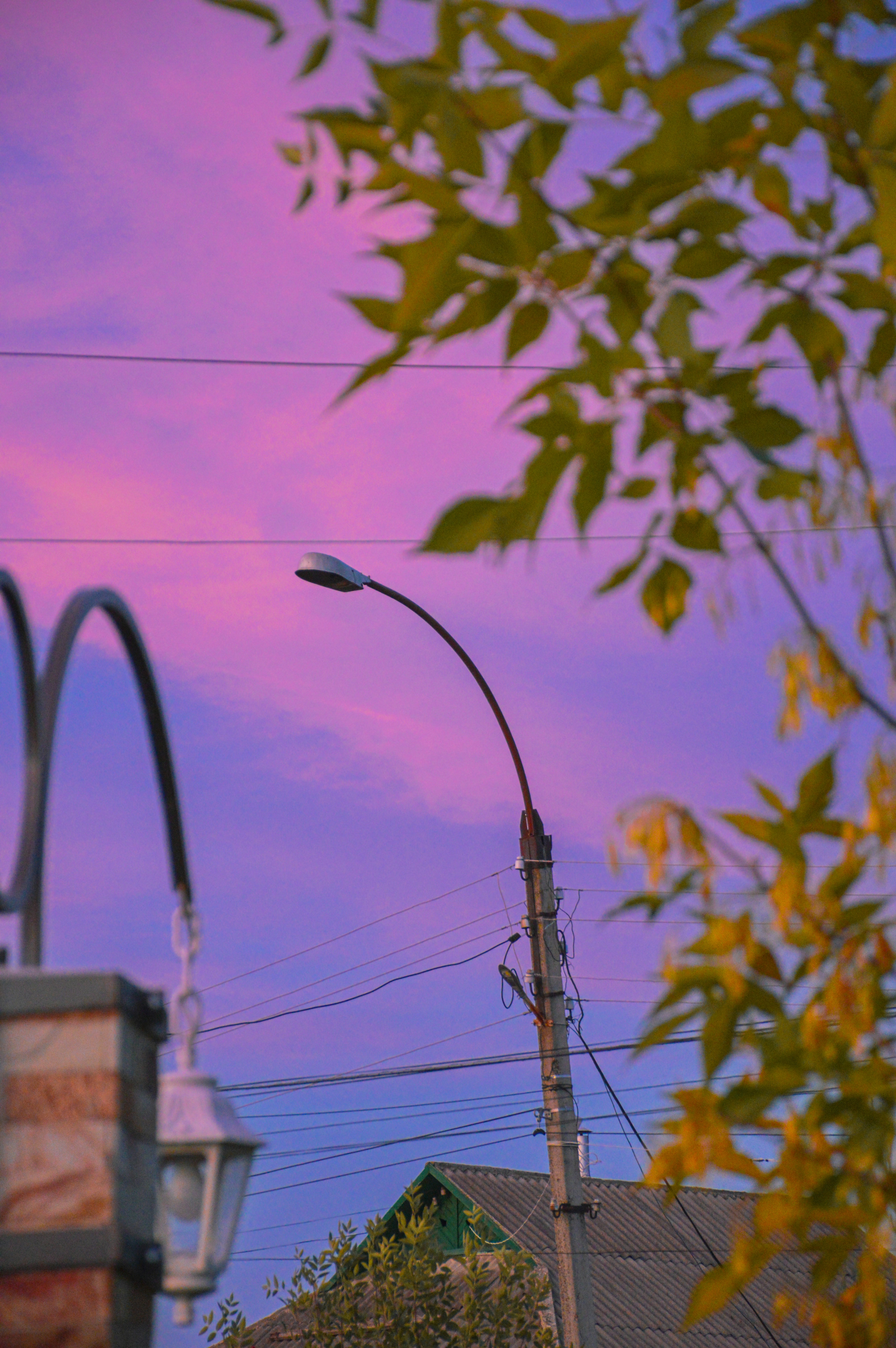 Arc of Dusk: The Curved Streetlight Against a Lavender Skyline