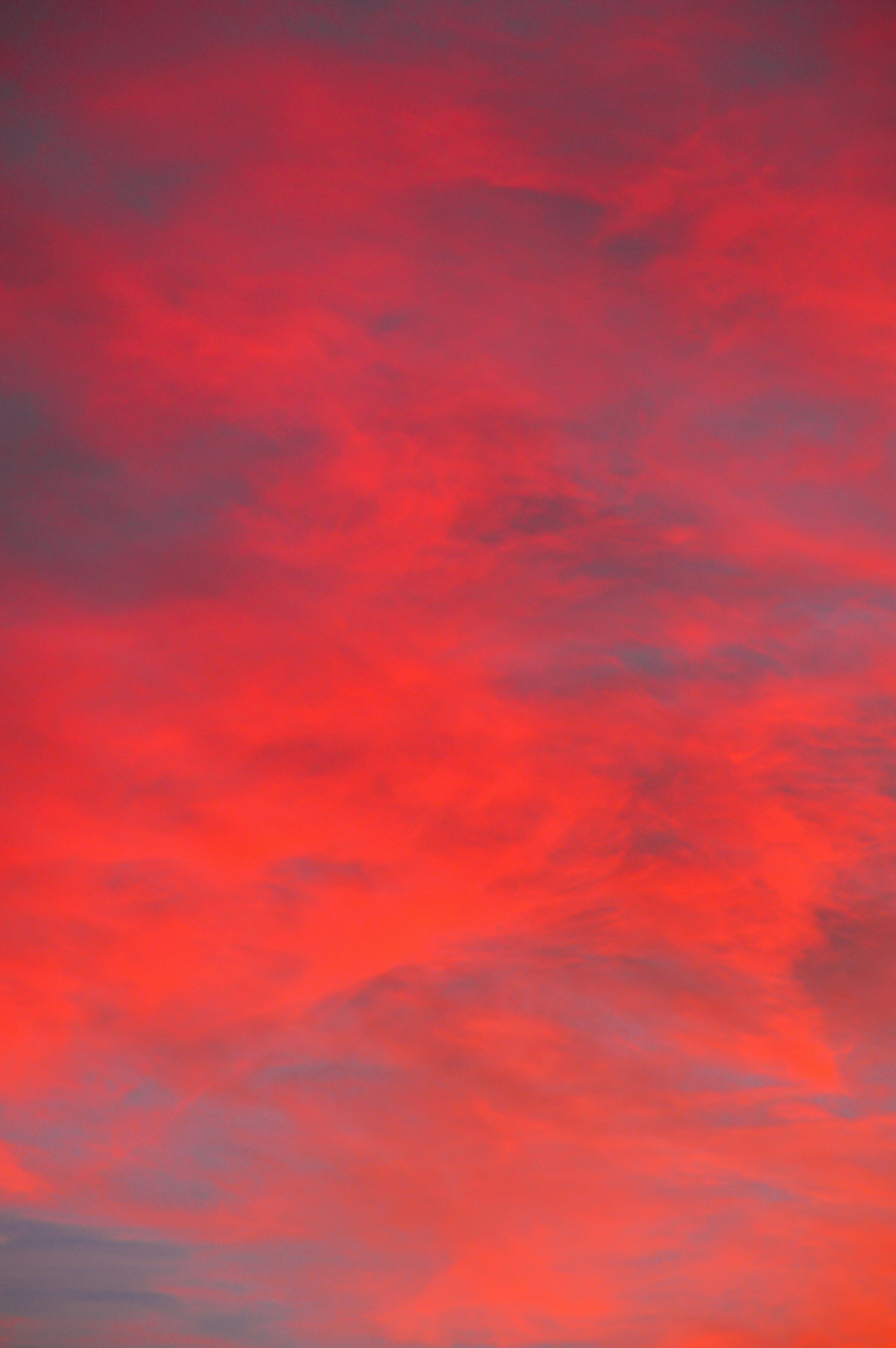Red Clouds Pictures | Download Free Images on Unsplash