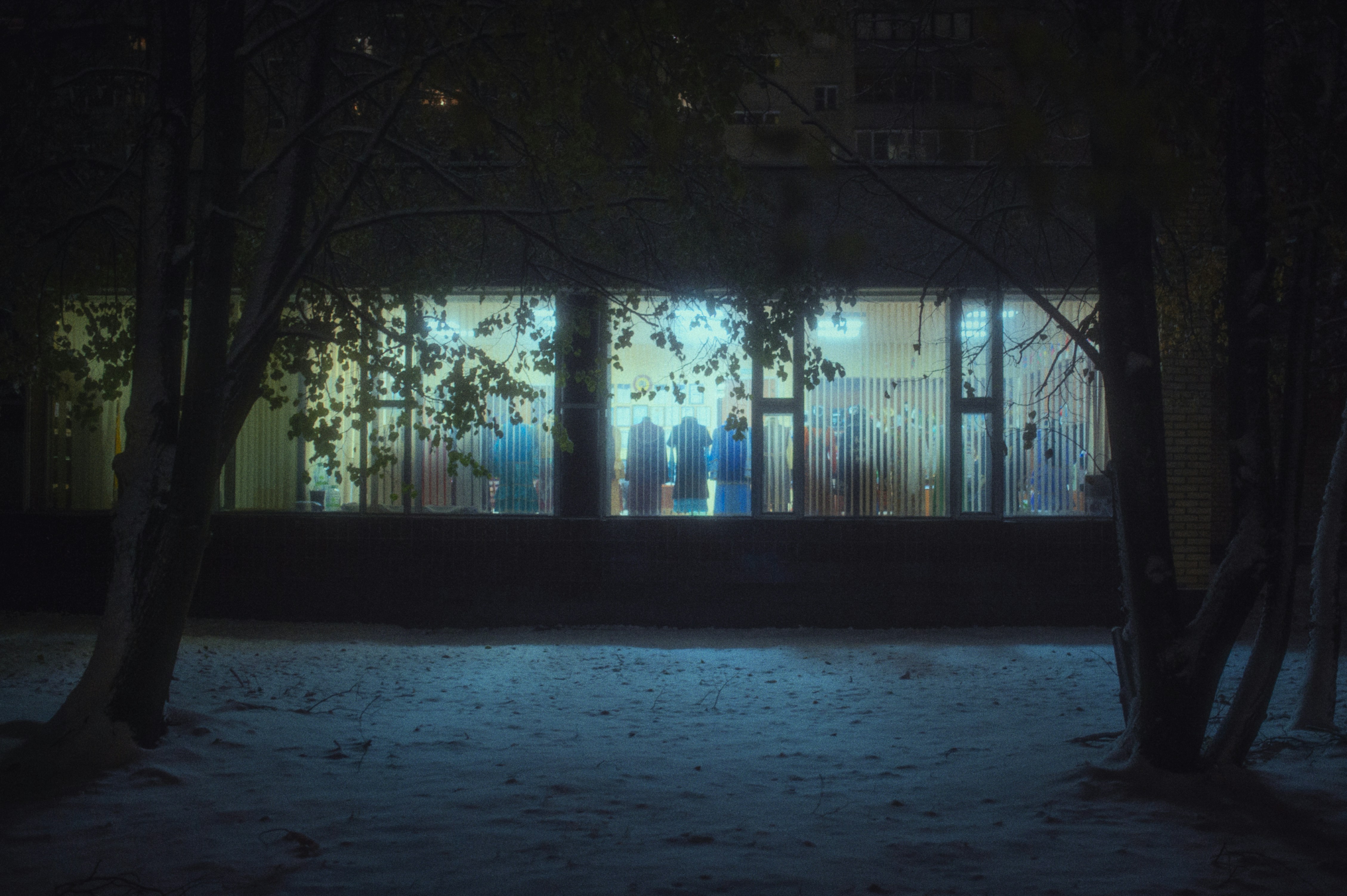 A night scene of a building and trees photo – Free Dubna Image on Unsplash