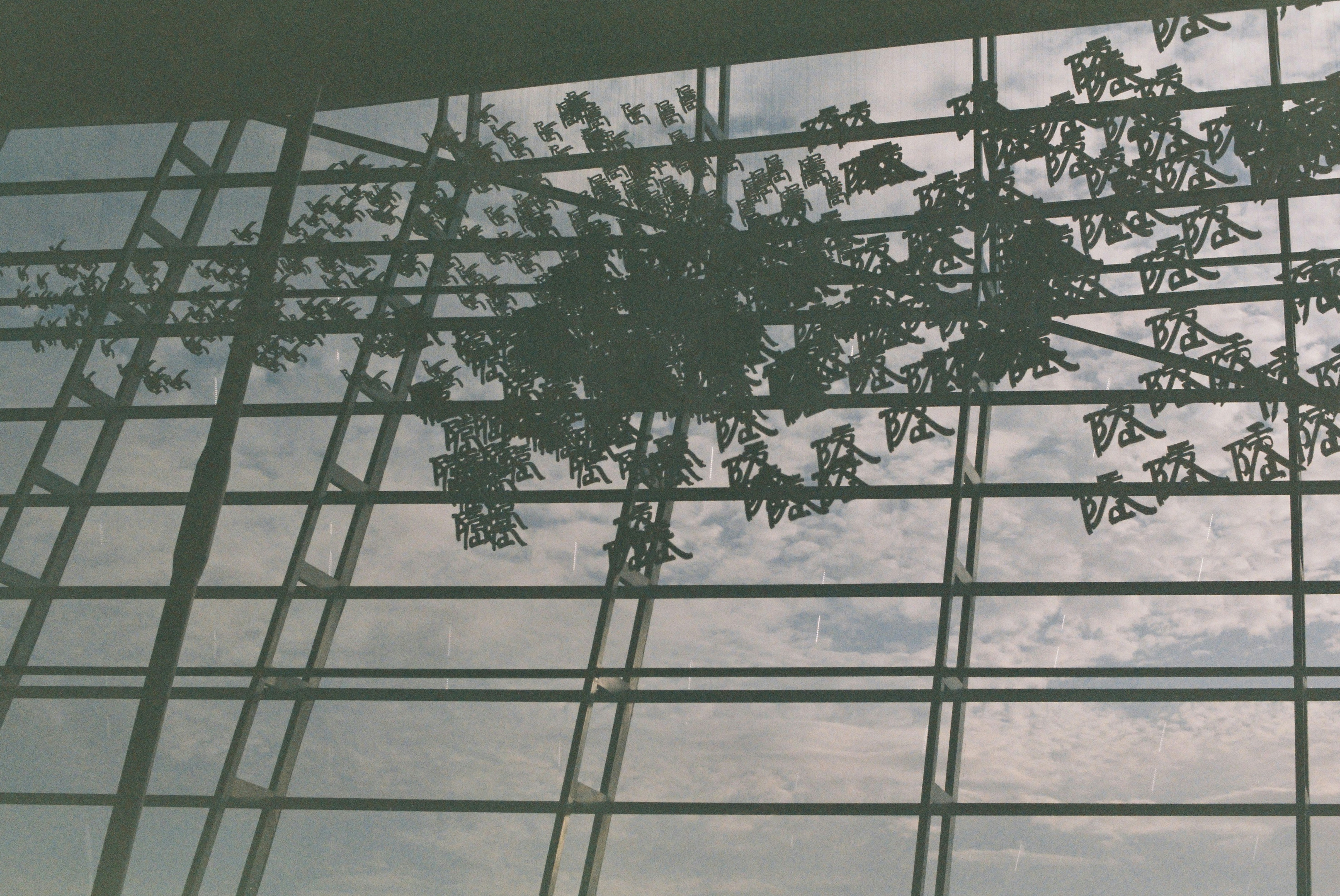 Photograph of a glass grid reflecting a cloudy sky and tree branches, creating a geometric lattice of lines and silhouettes.
