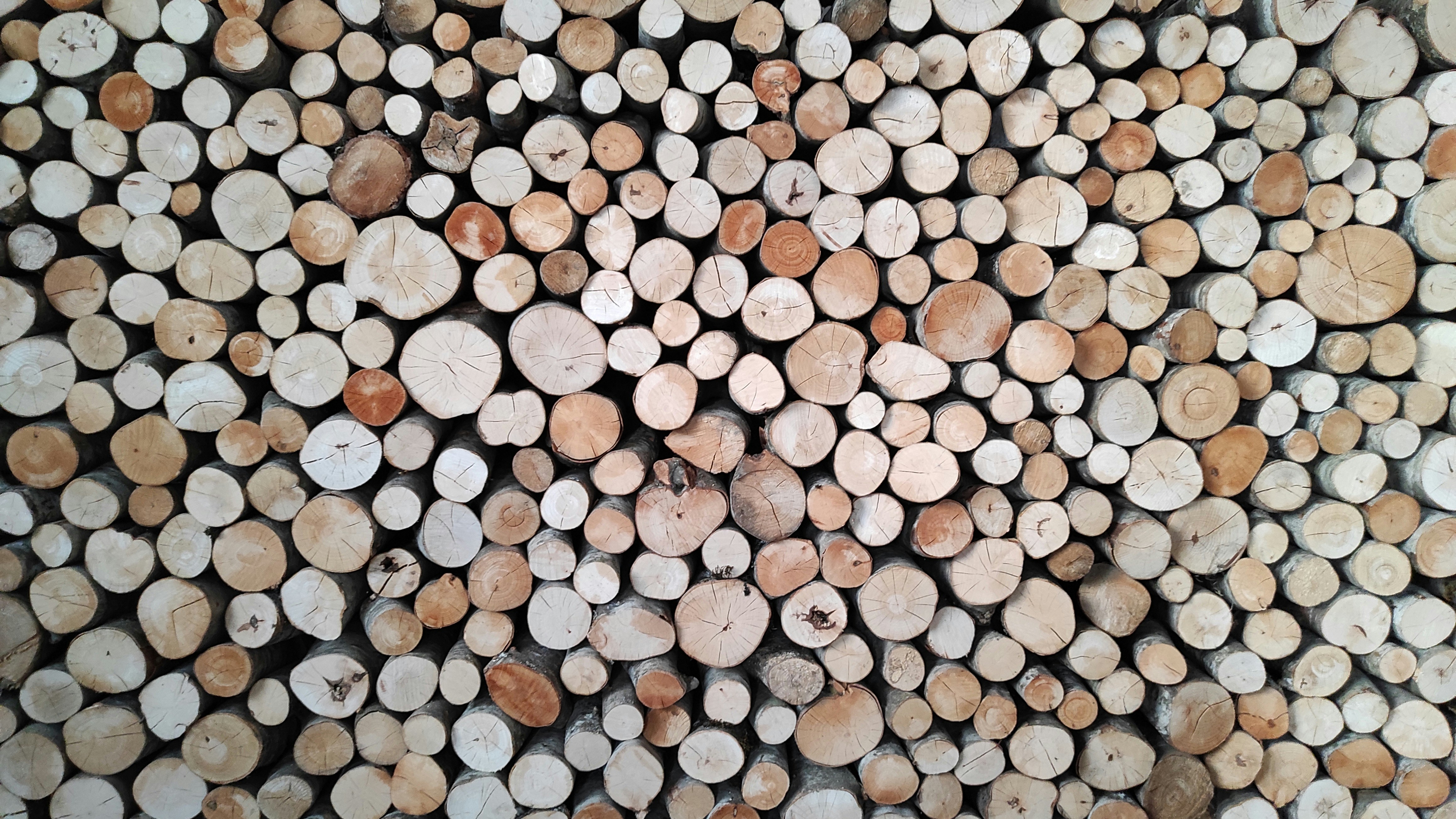 A bunch of logs stacked on top of each other photo – Free Wood ...
