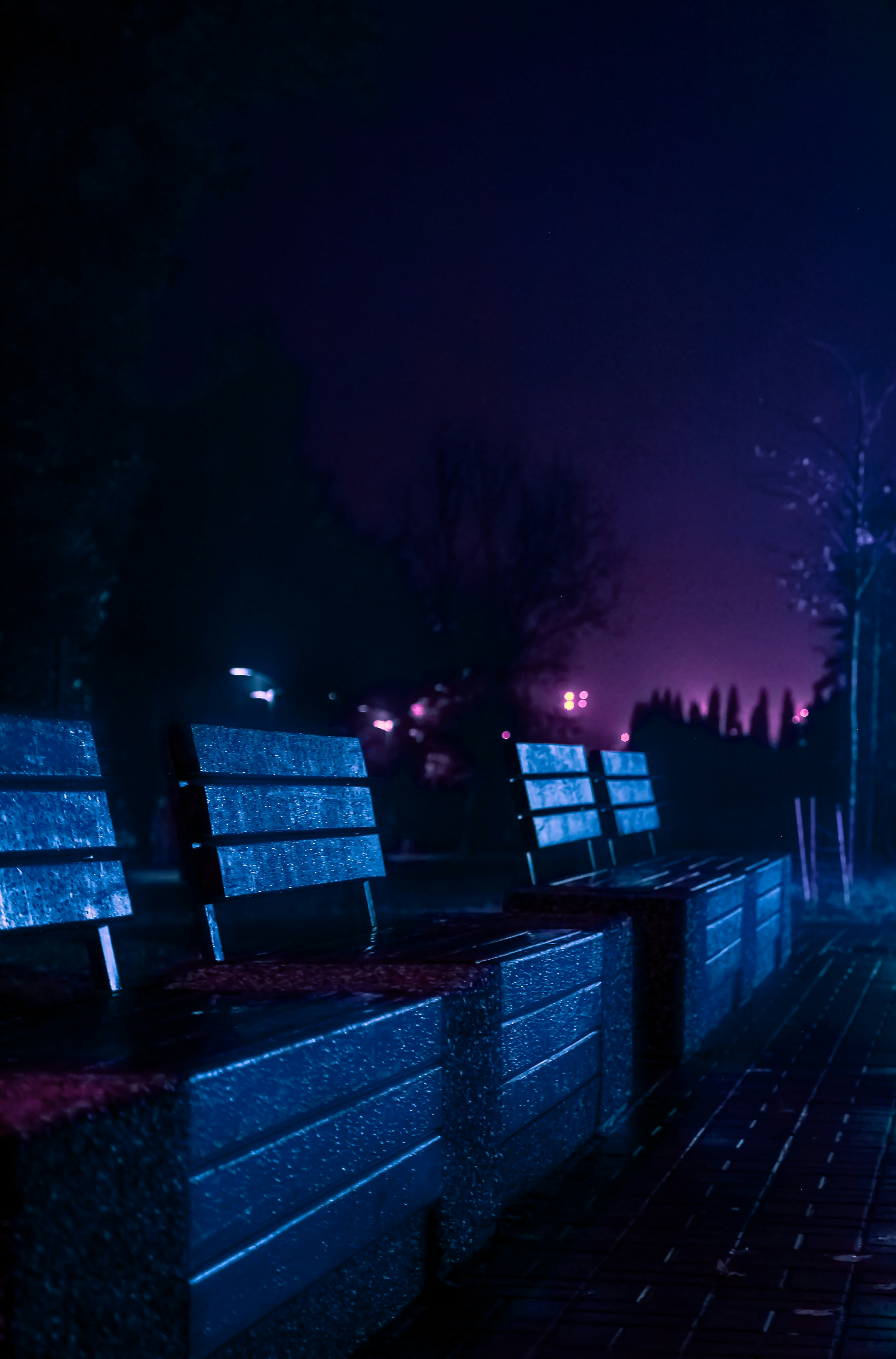 Wooden benches illuminated by blue and purple light in a nighttime park setting.
