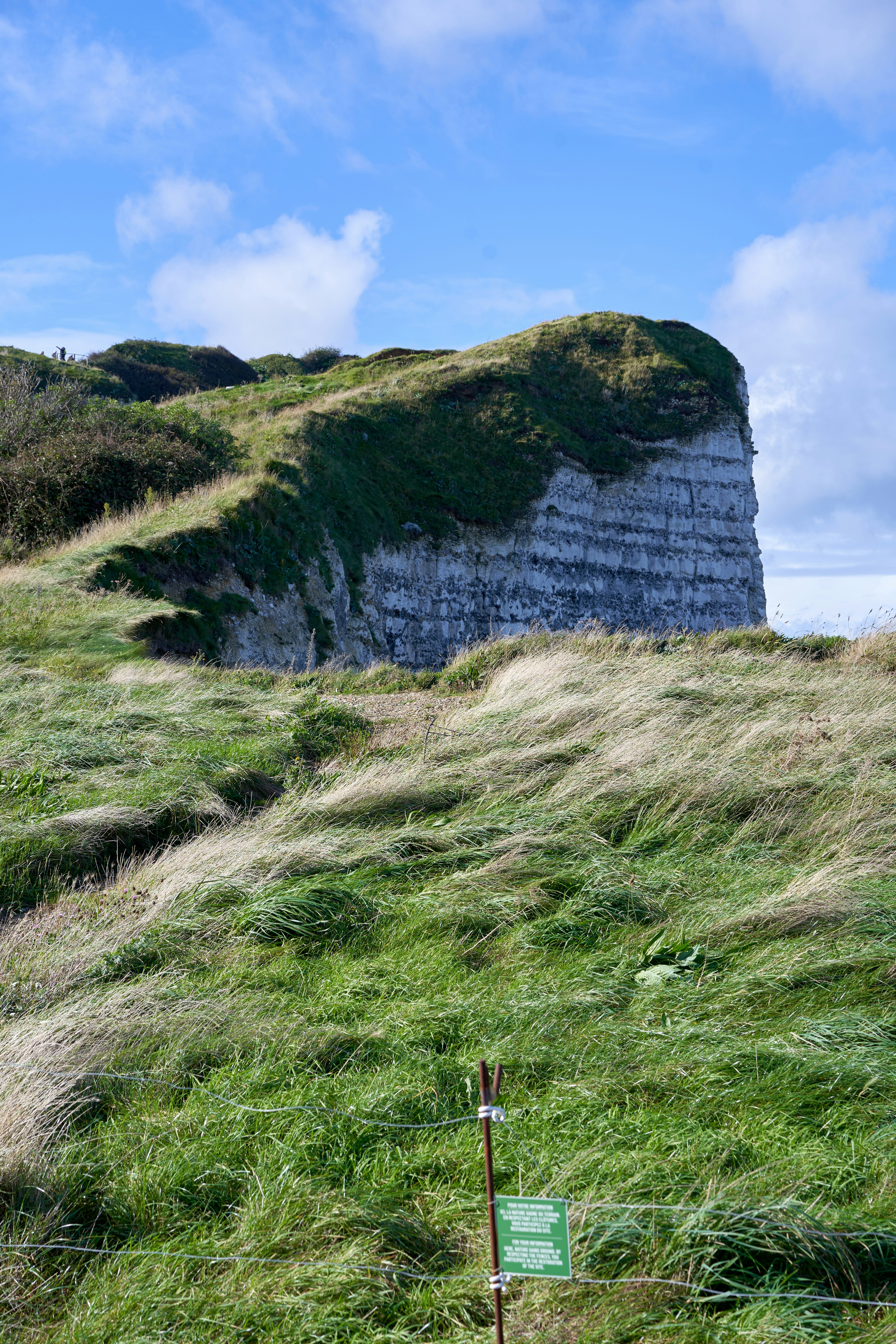 Photo by Meizhi Lang with Sony Alpha 7 III