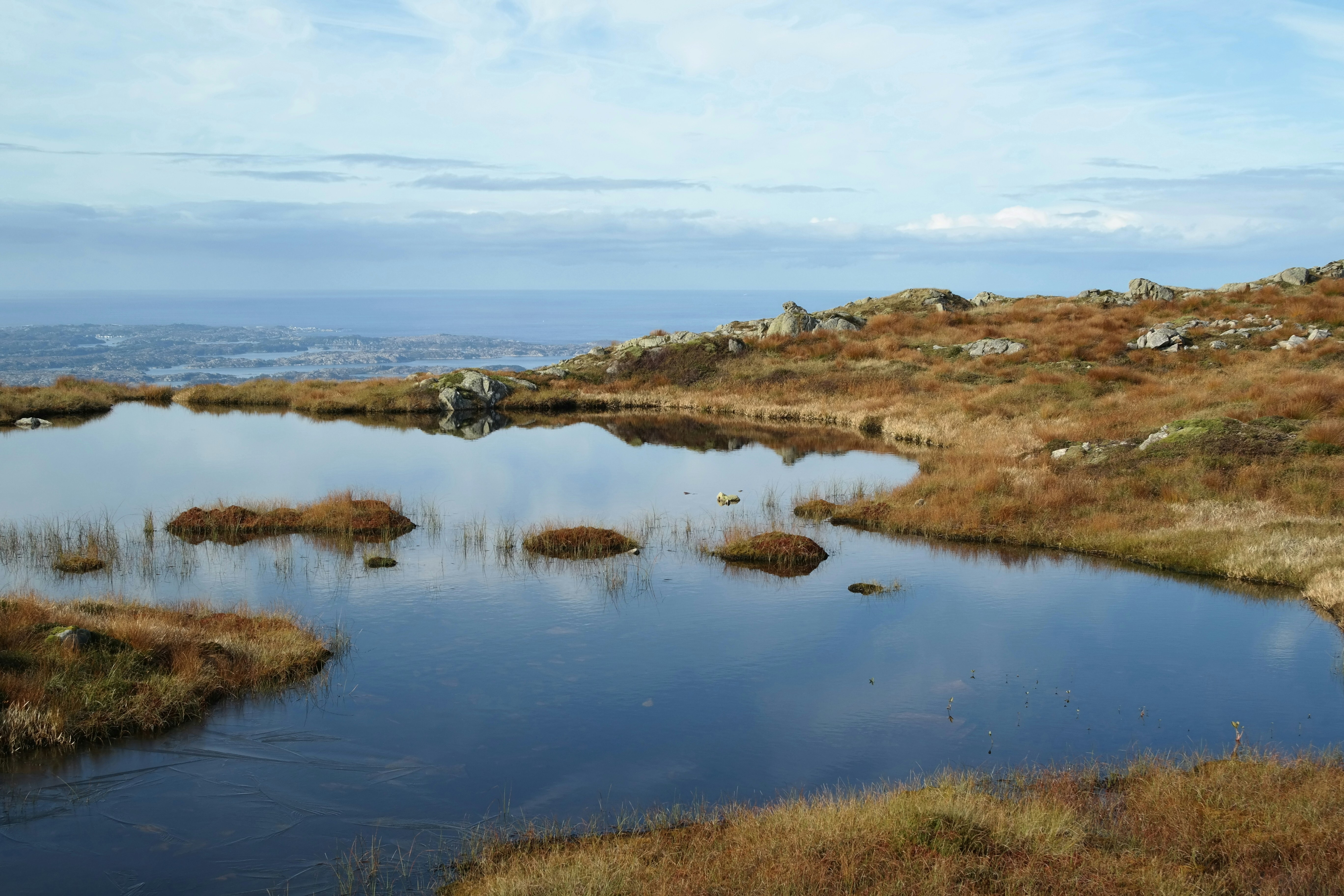 A small pond surrounded by grass and rocks photo – Free Autumn Image on ...