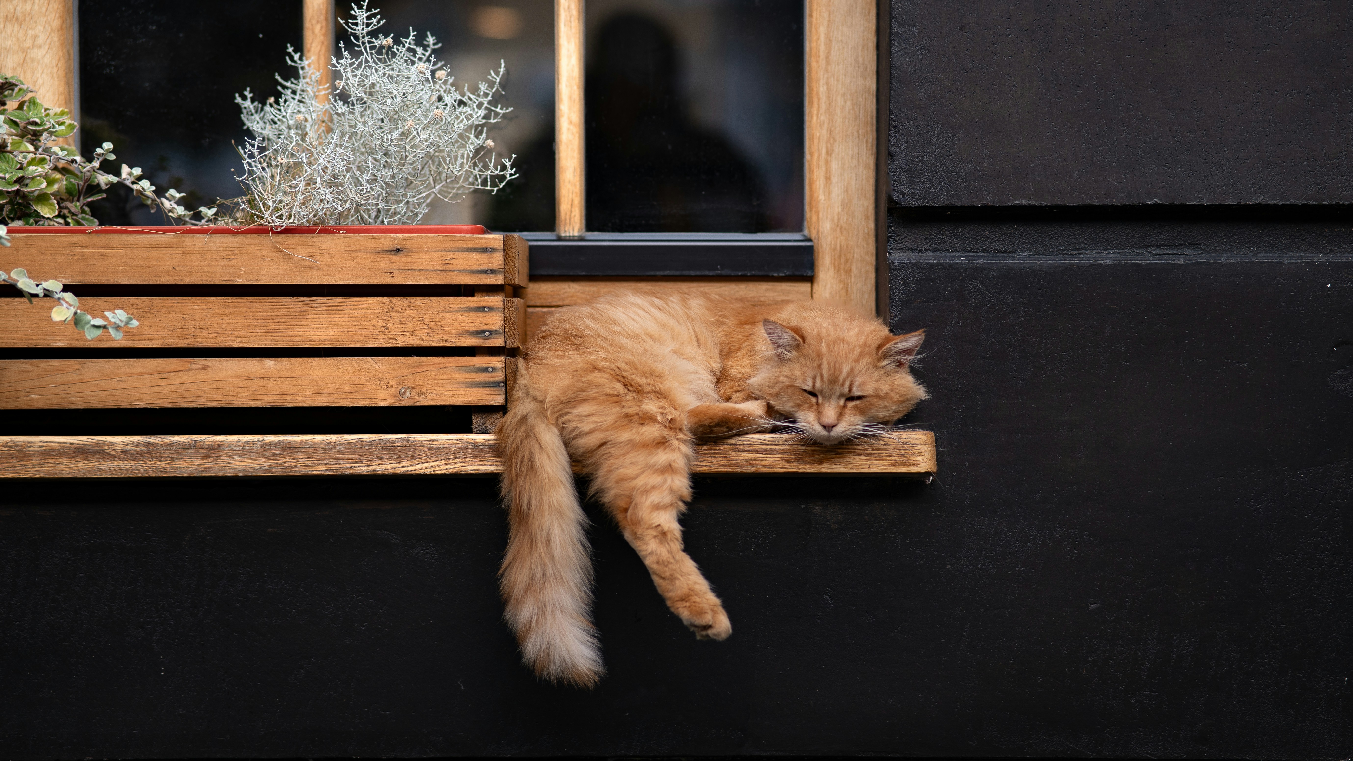 Photo by Eugene Chystiakov with Sony Alpha 7 III