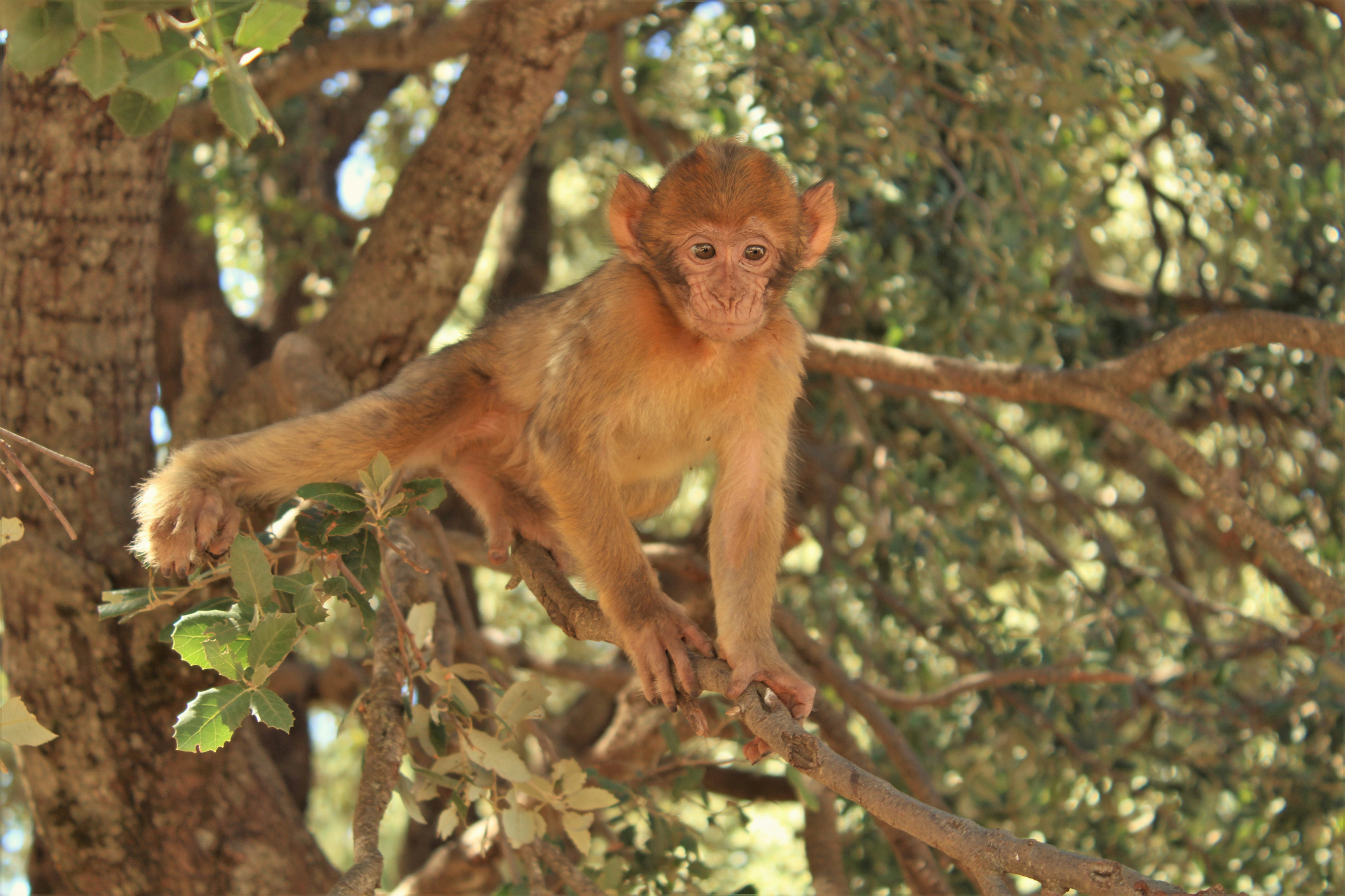 Photo by giovanni cordioli with Canon EOS 2000D