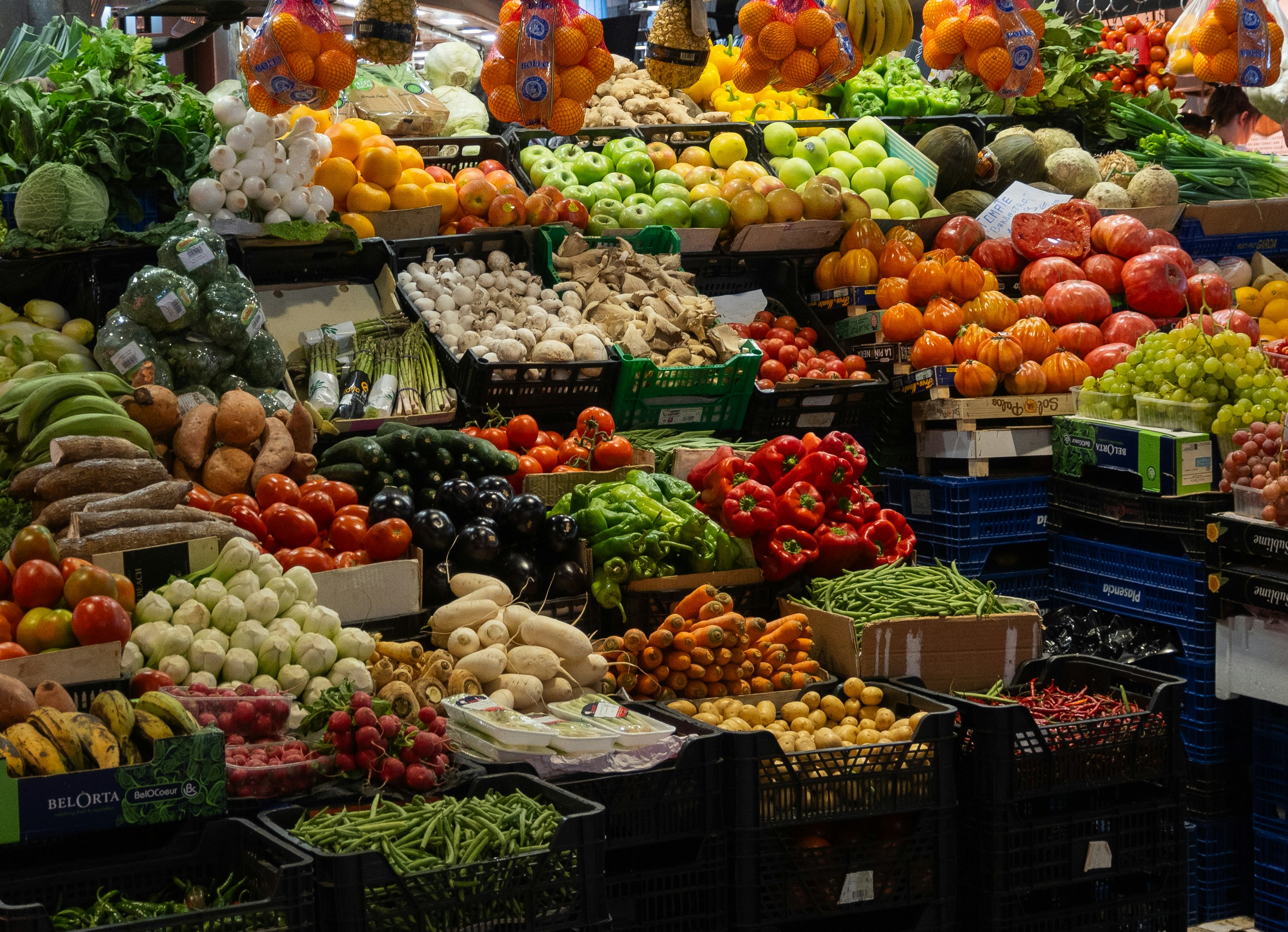 A large display of fruits and vegetables in a grocery store photo ...