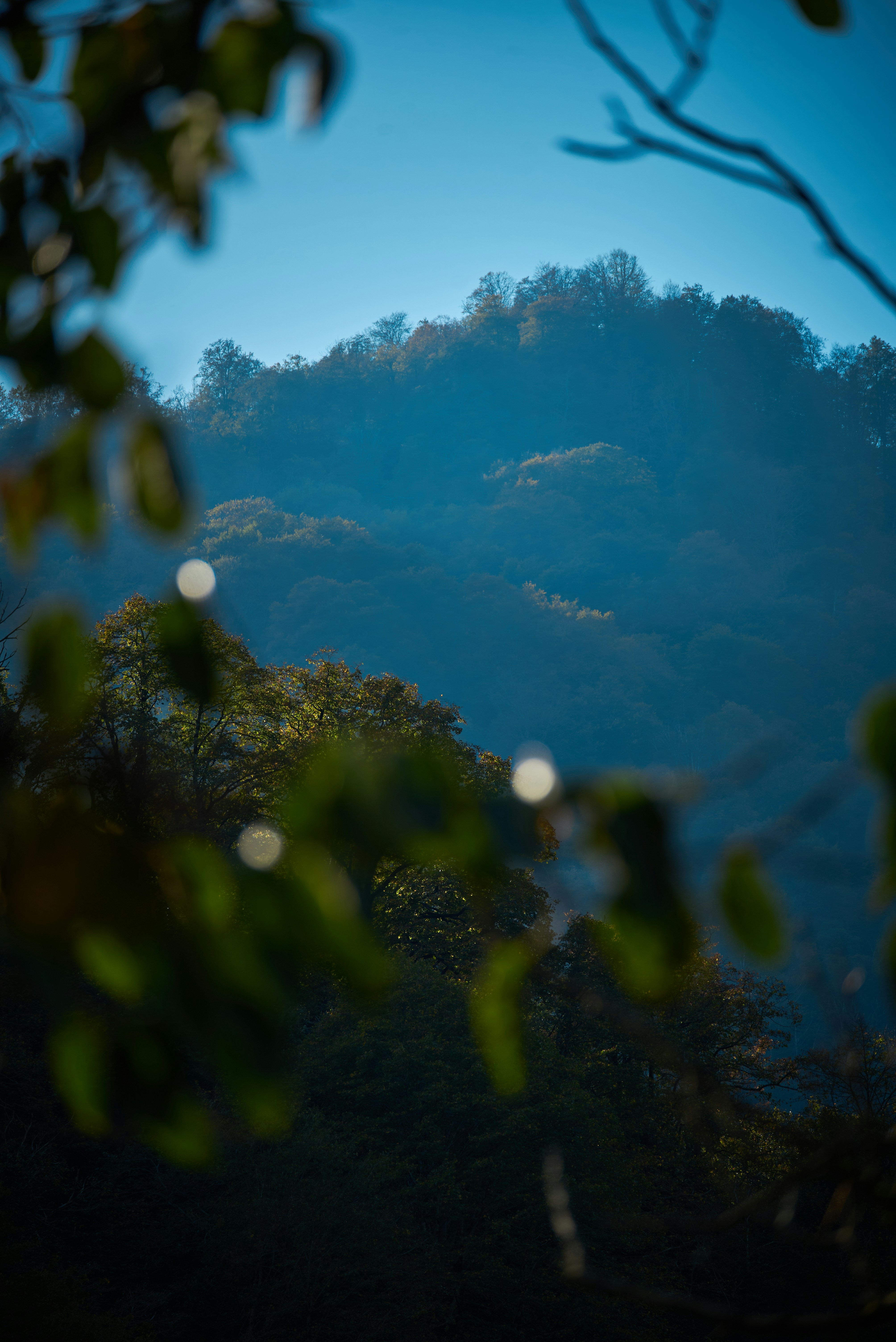 Blue Mist Over the Quiet Ridge