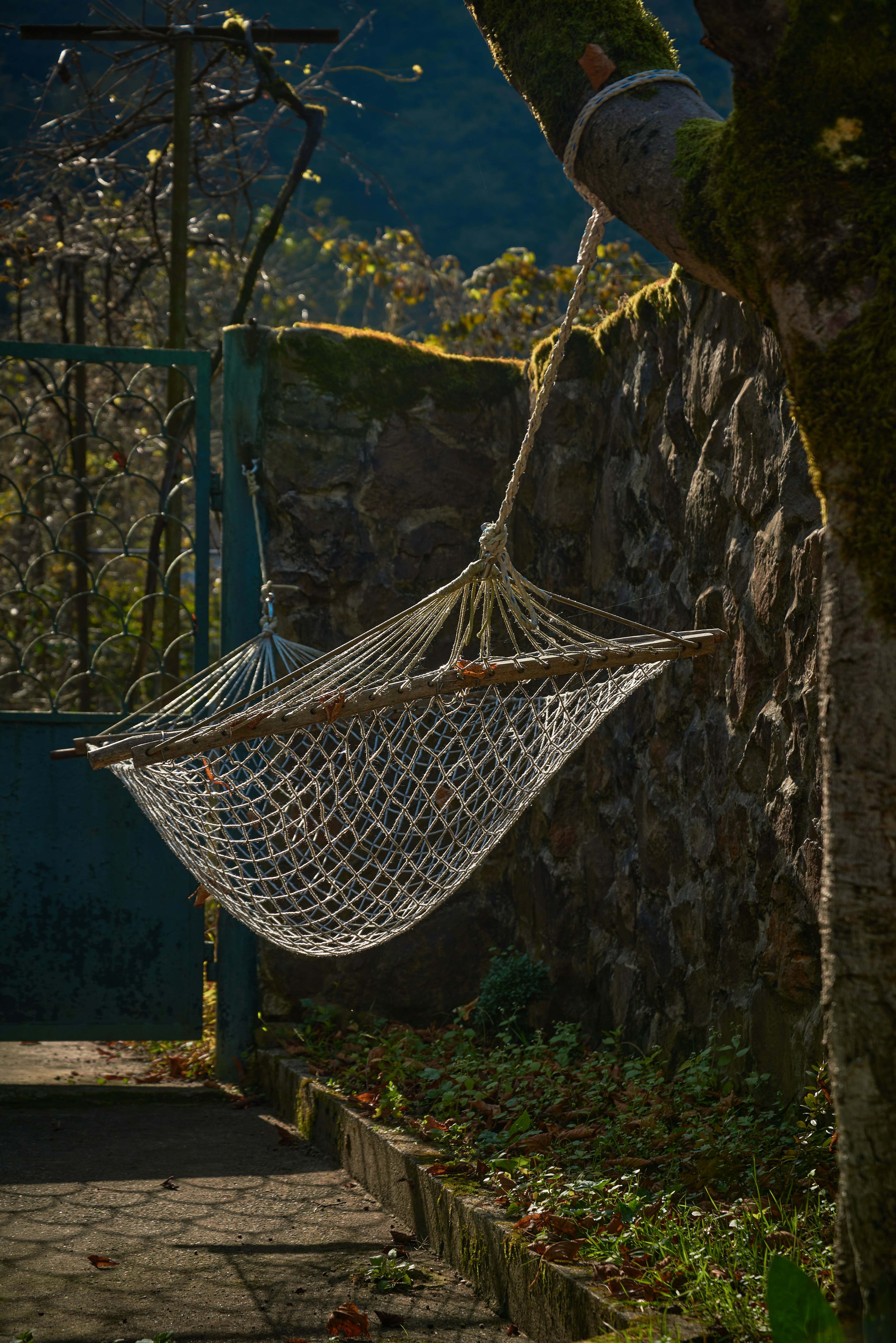 Relaxing Weekend Gif Pictures | Download Free Images on Unsplash