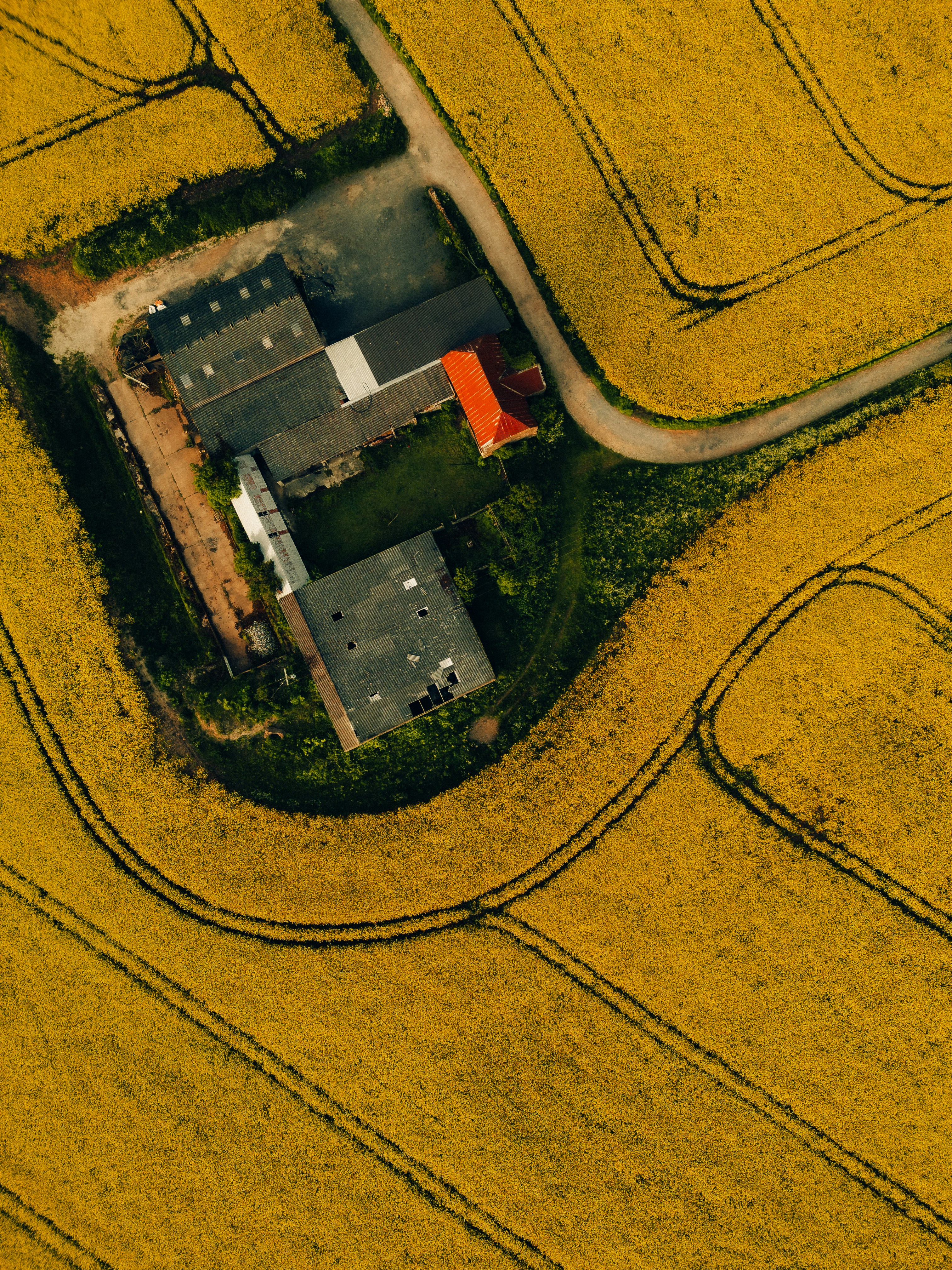 Amber Corridors Enclose a Quiet Farmstead: An Aerial Study