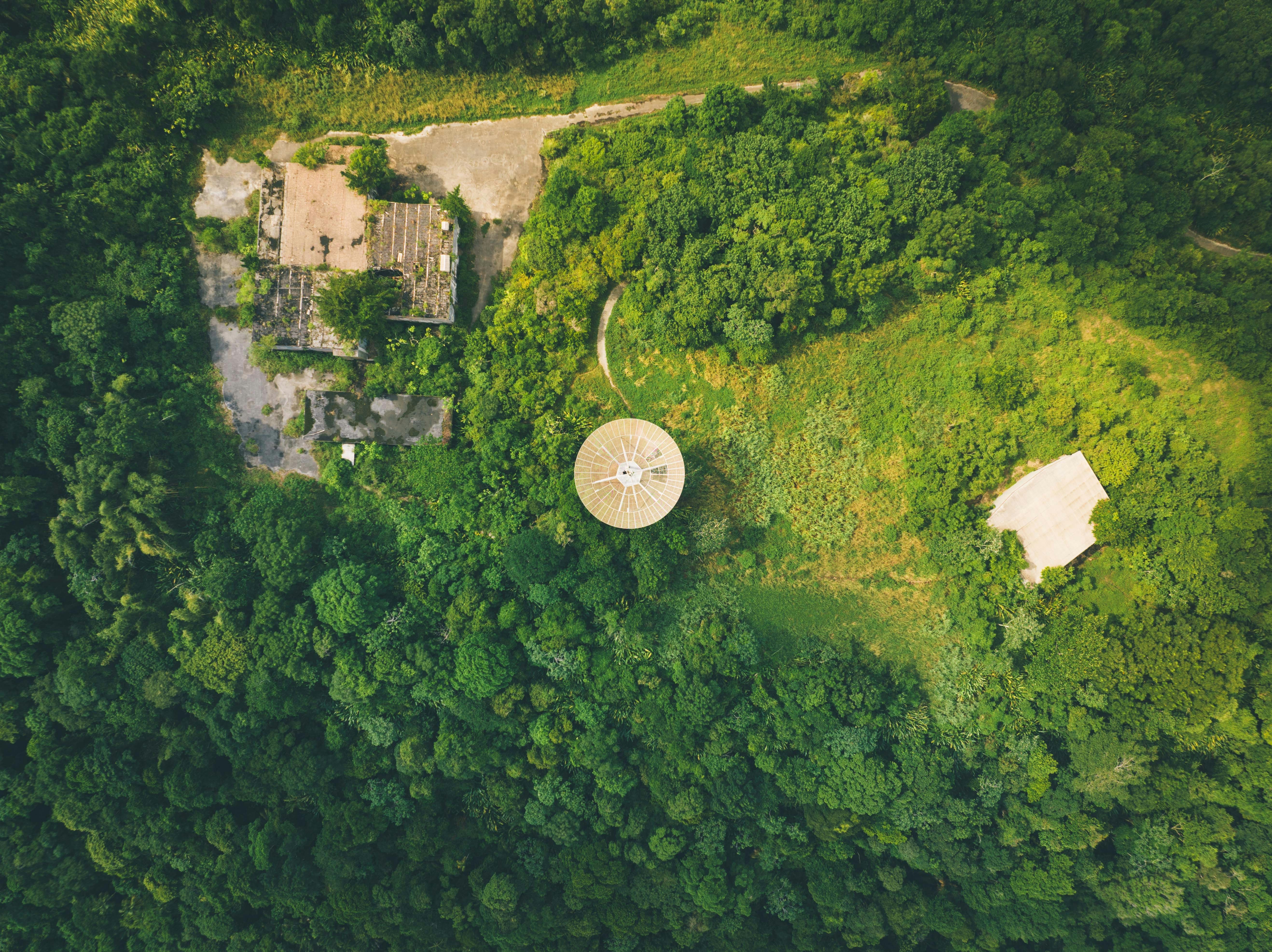 Une vue aérienne d’une maison au milieu d’une forêt photo – Photo Vert ...