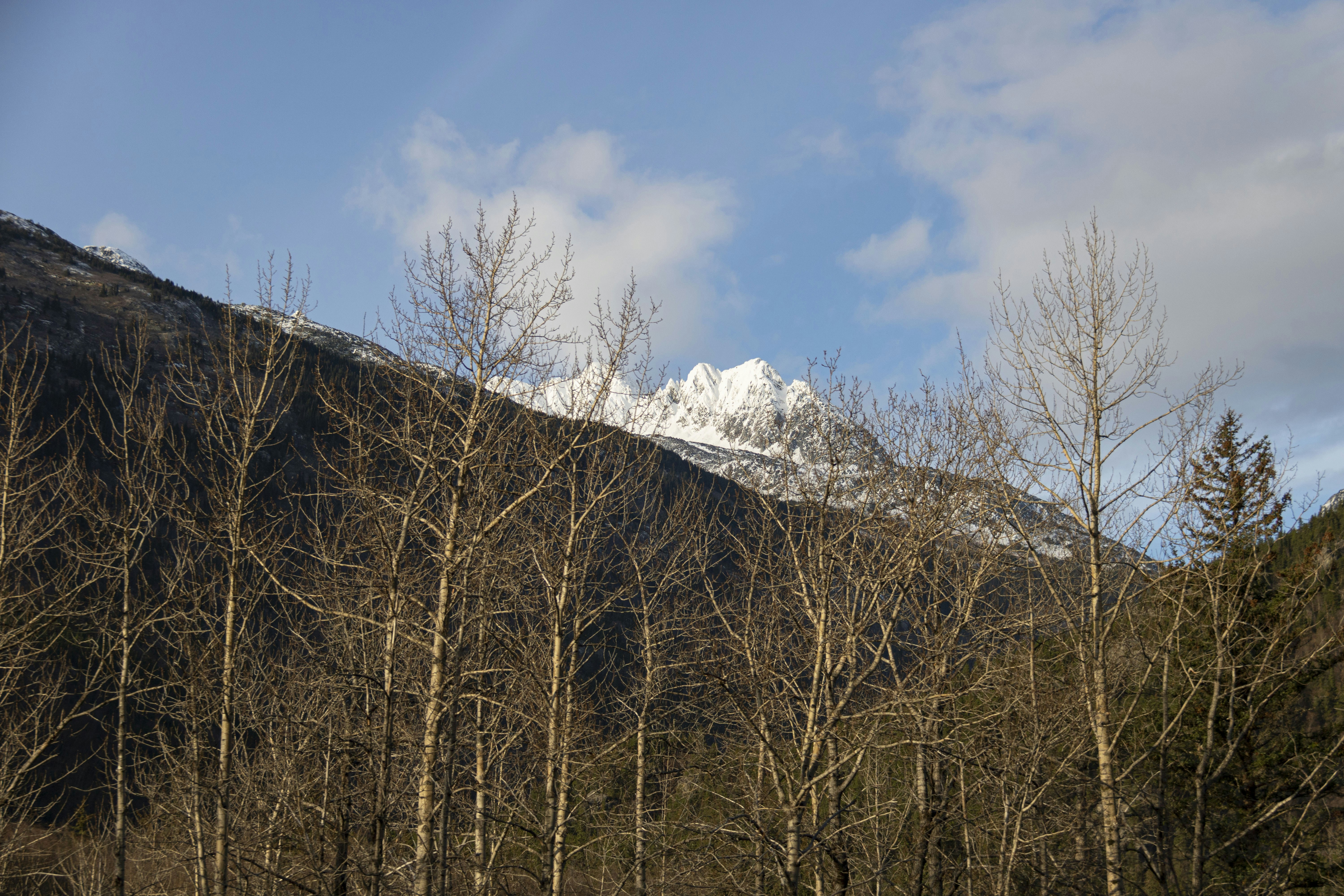 Landscape of inspiration point in skagway alaska.