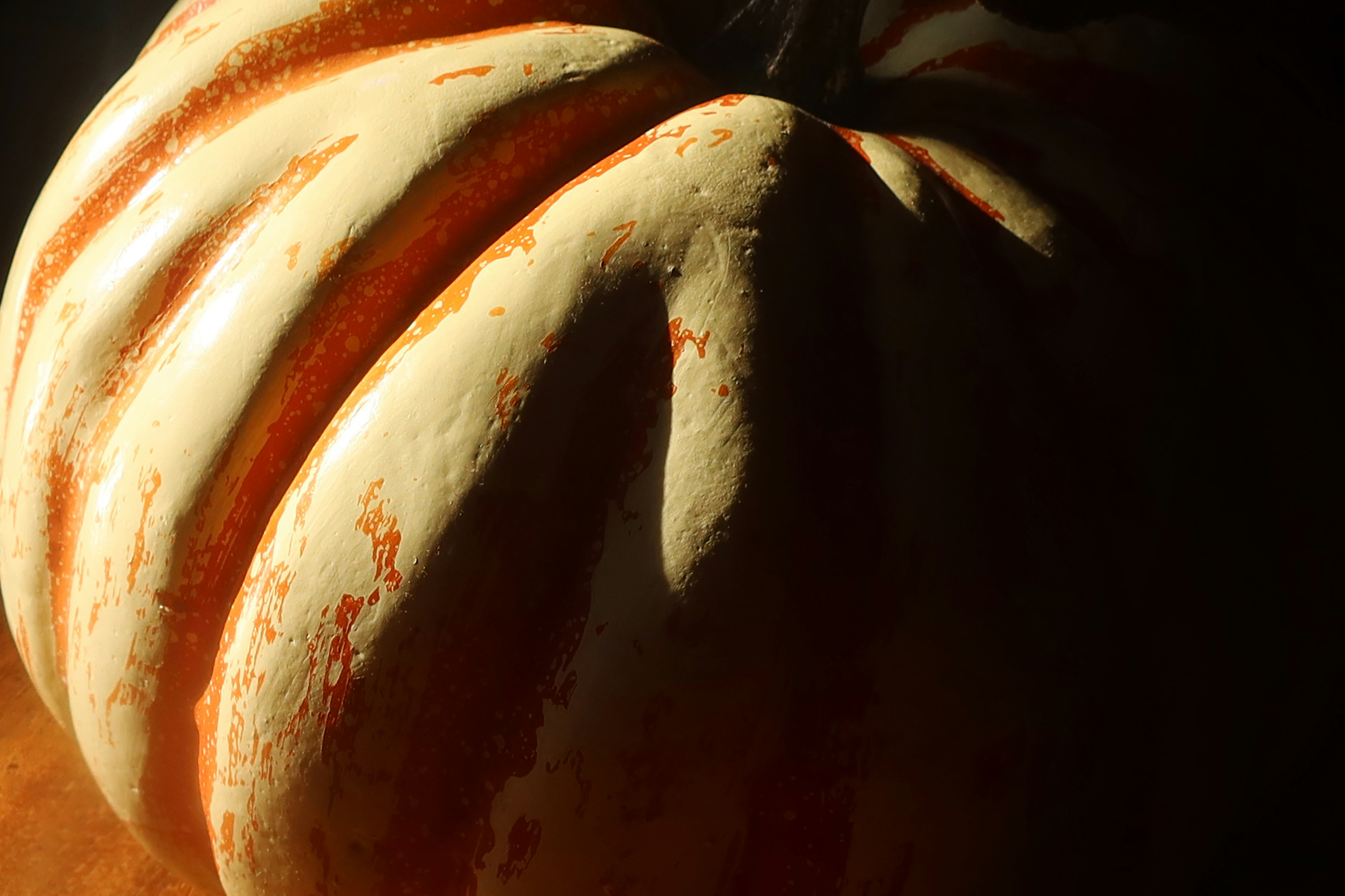 Close-up of a pumpkin illuminated by warm sunset light, casting deep shadows.