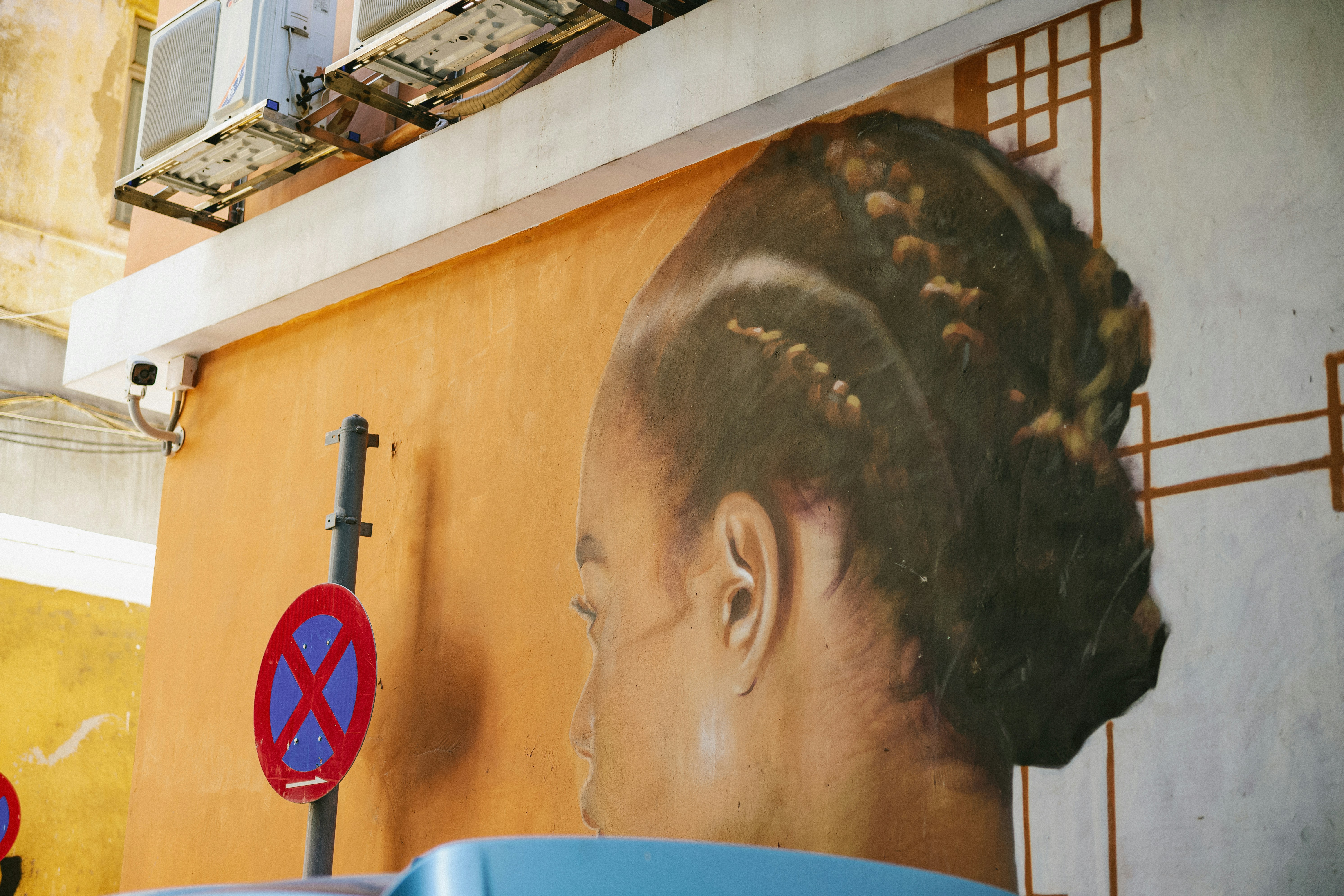 Braided Silhouette on a Sun-Warmed Wall