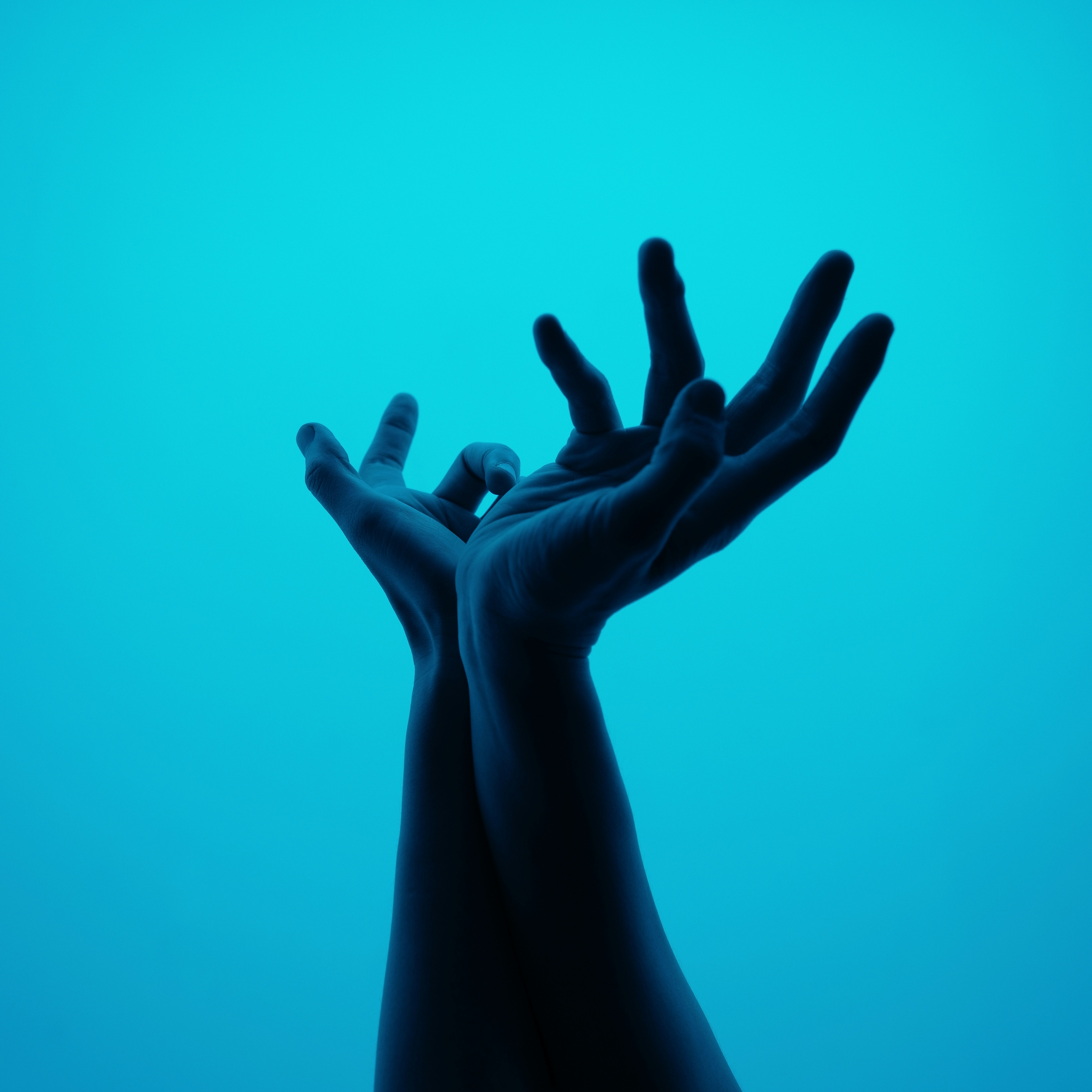 A person's hands reaching up into the air photo – Free Blue Image on ...