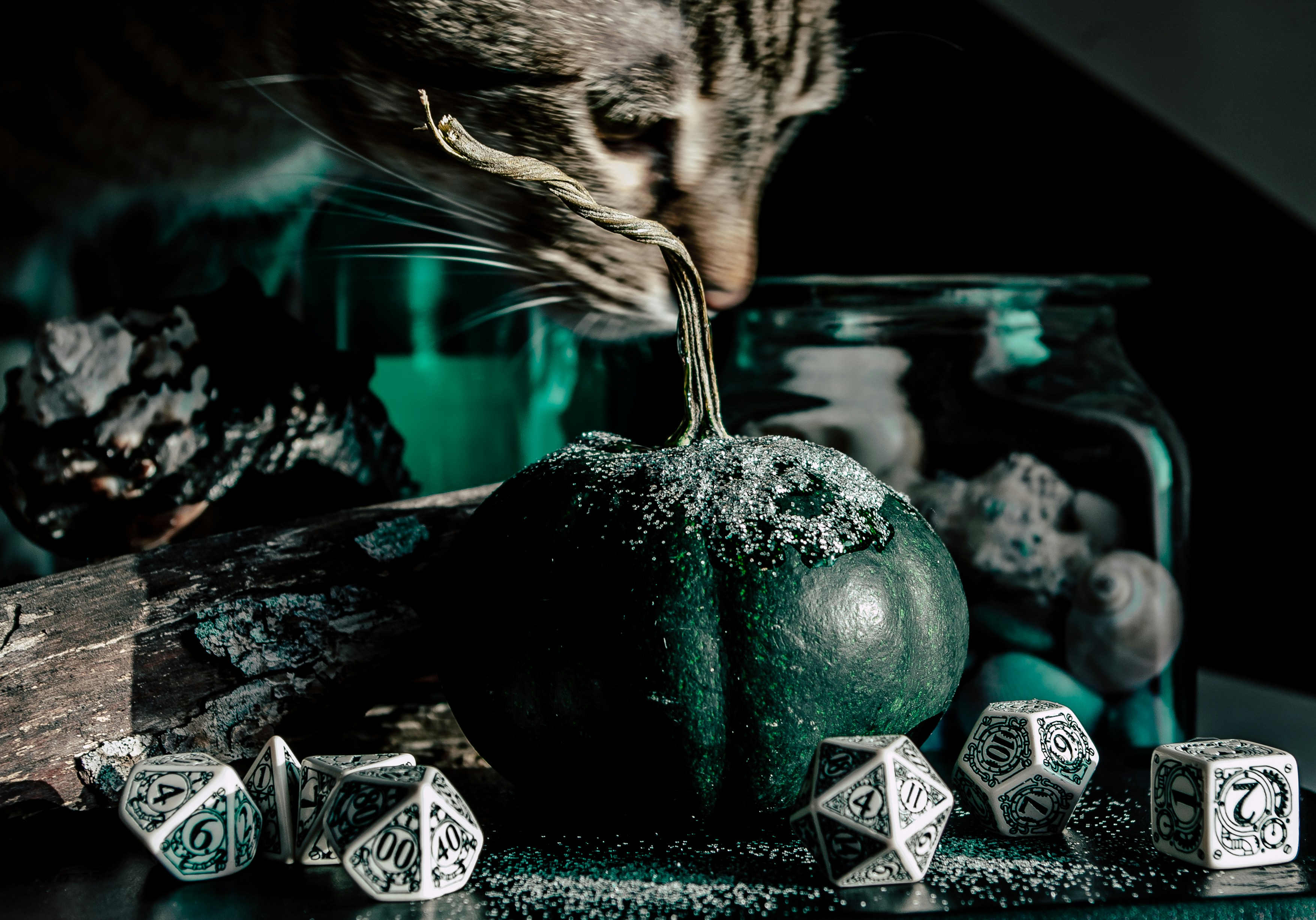 Whiskers at the Emerald Pumpkin: A Feline Still-Life Among Dice