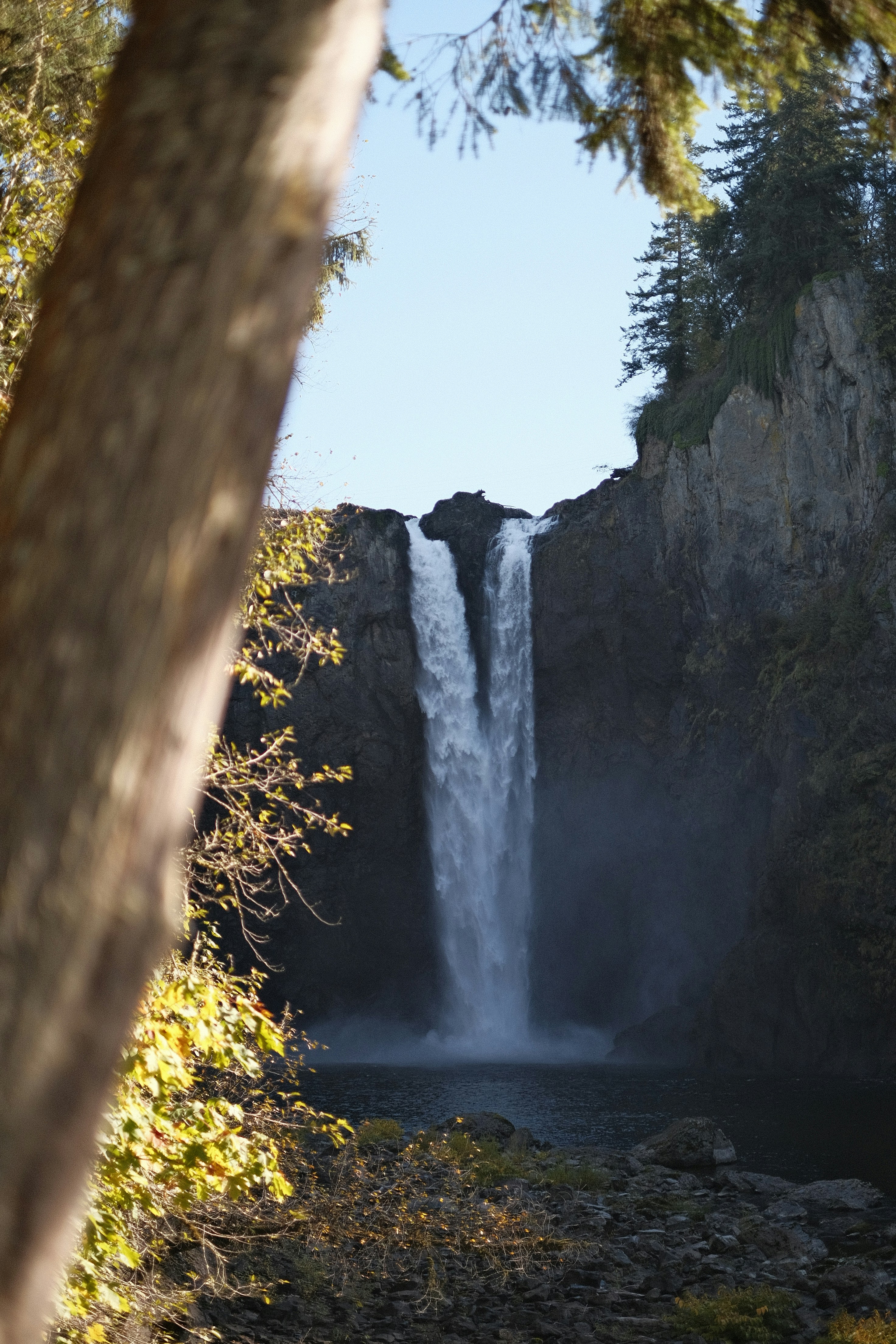 Jashan Gill (@jashang) | Comunidad de fotos de Unsplash