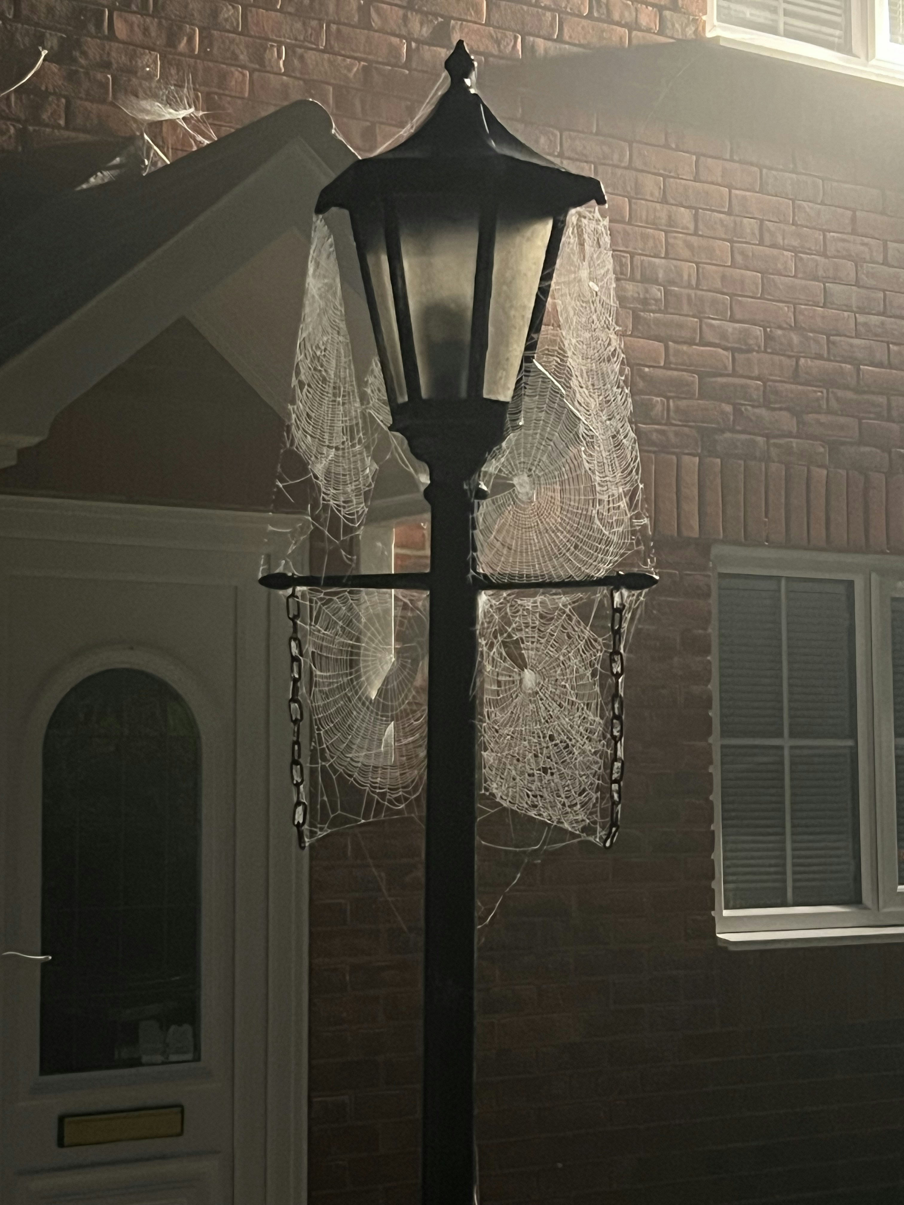 A street light with a spider web covering it photo – Free Grey Image on ...