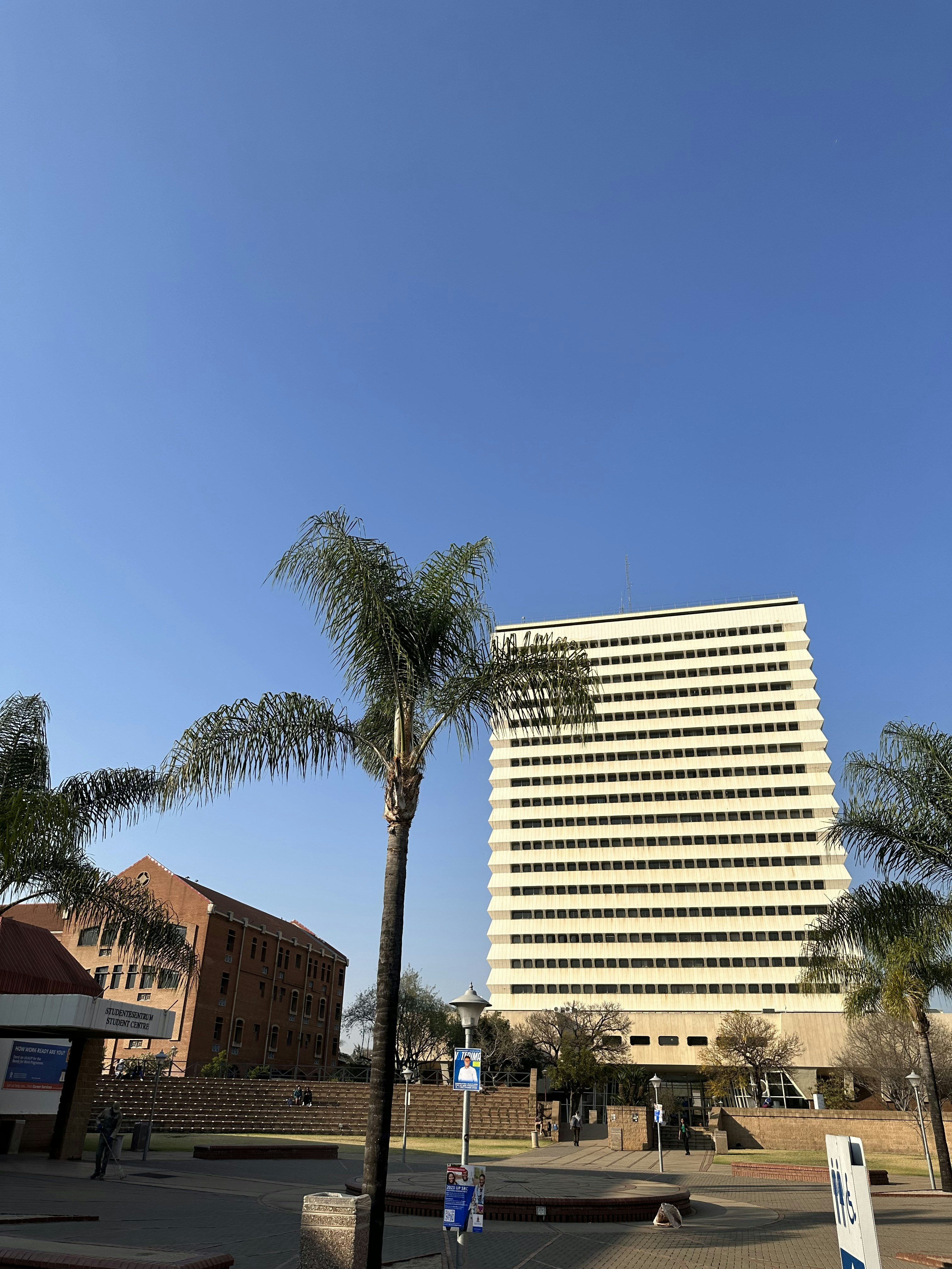 Tall palm trees frame a large modern office building under a clear blue sky.