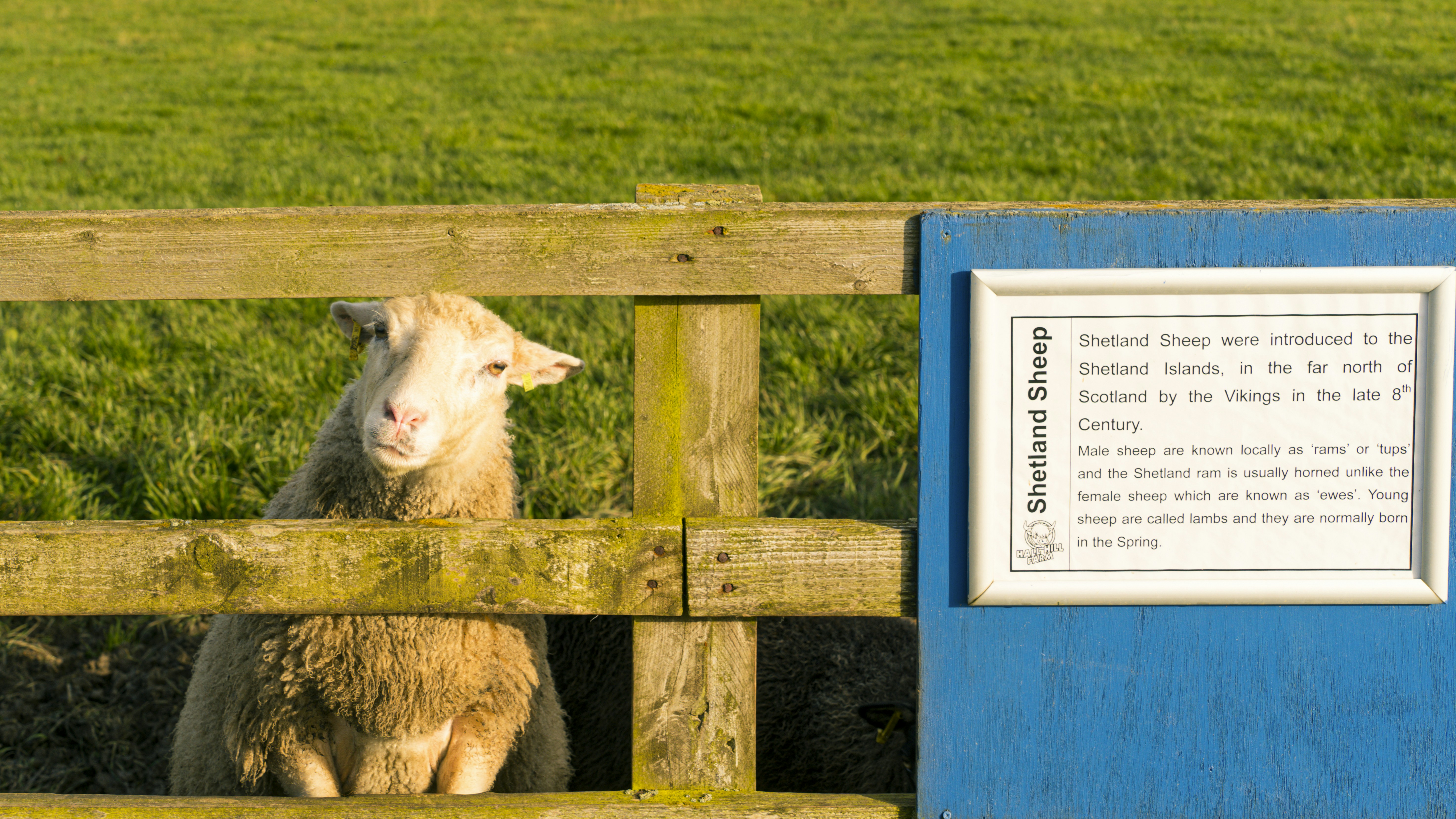 Photo by Jeffrey Zhang with Sony Alpha 7 II