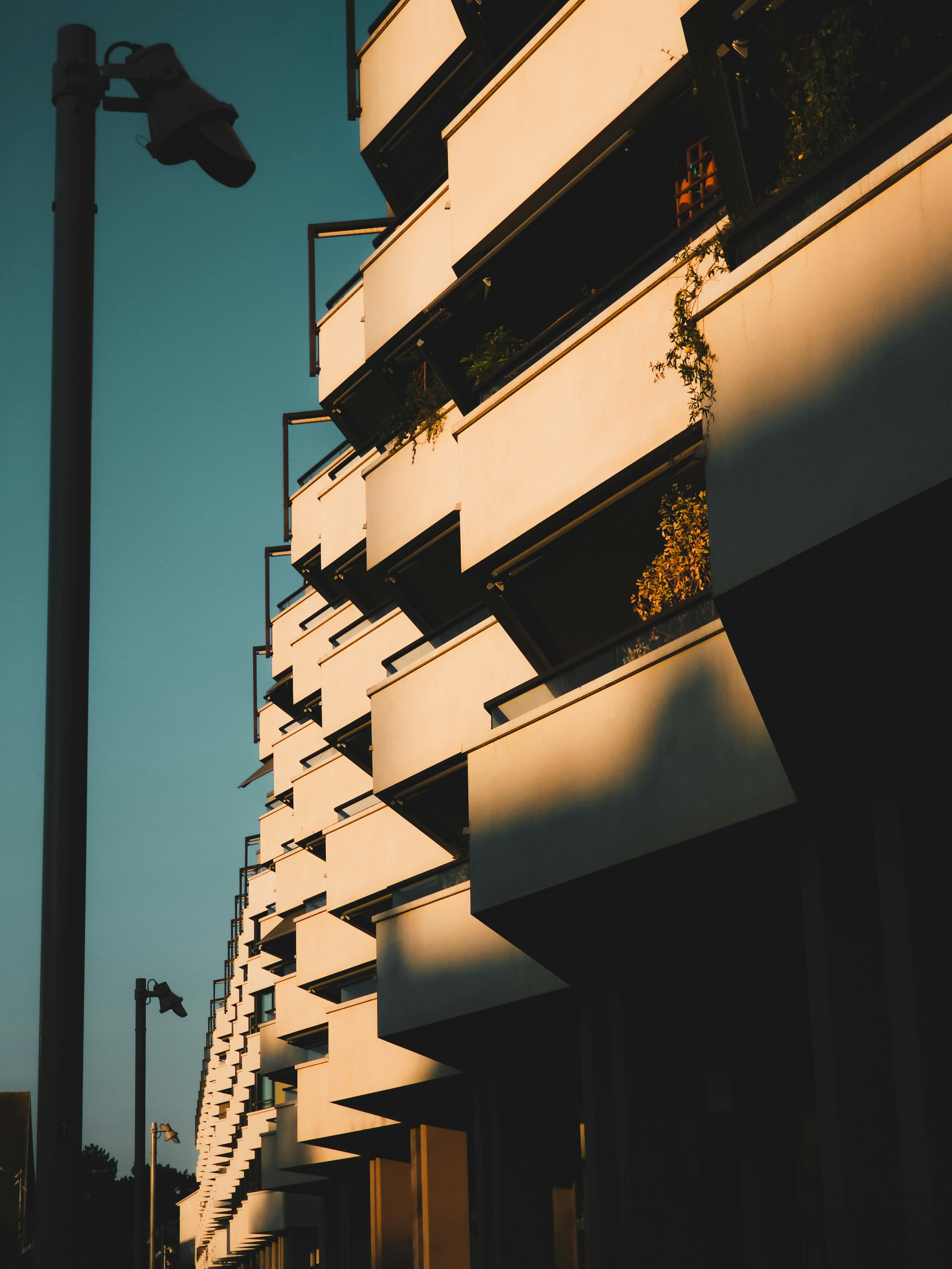 Modern building facade casting sharp shadows in the golden evening light.